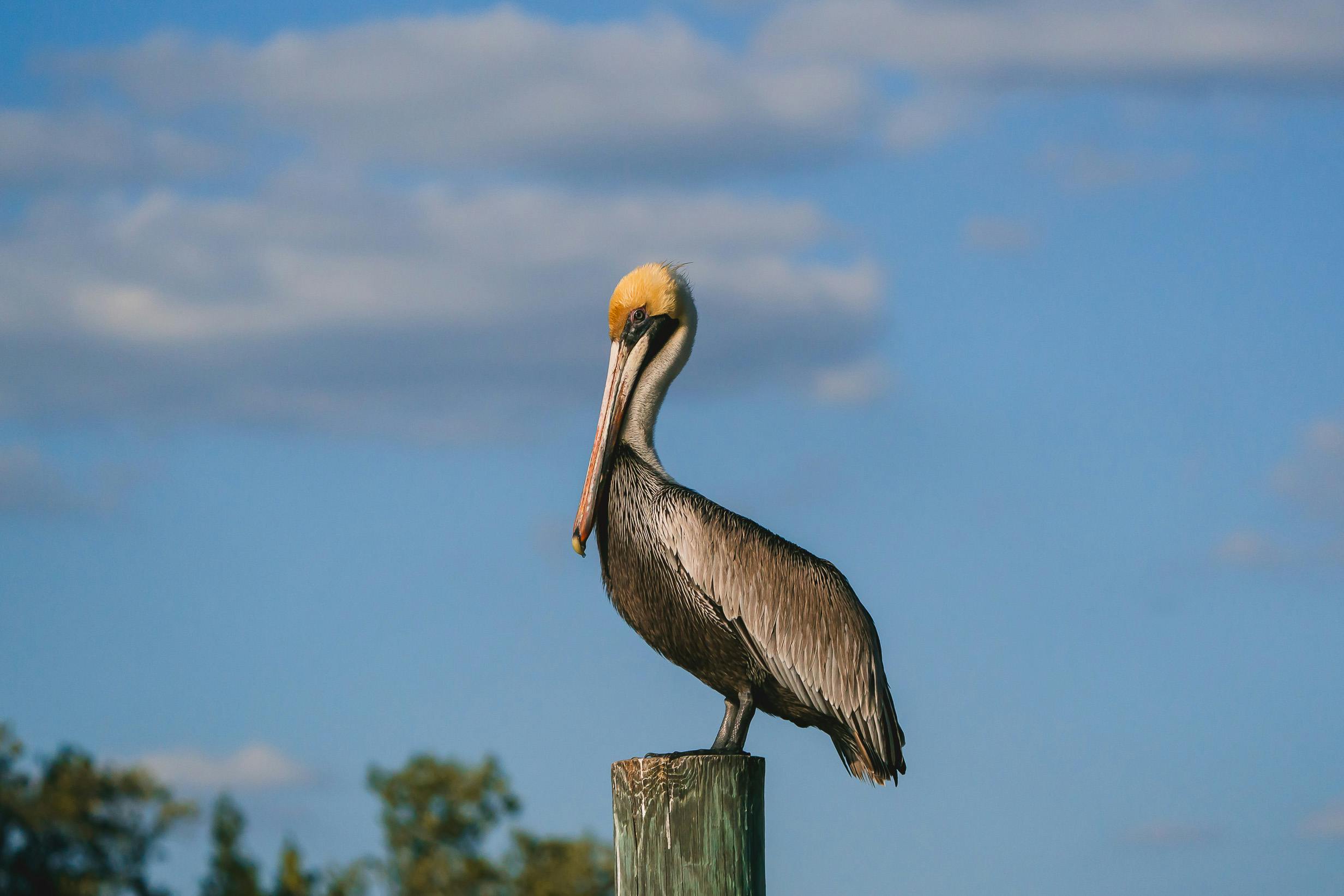 Log Wallpaper Photos, Download The BEST Free Log Wallpaper Stock Photos ...