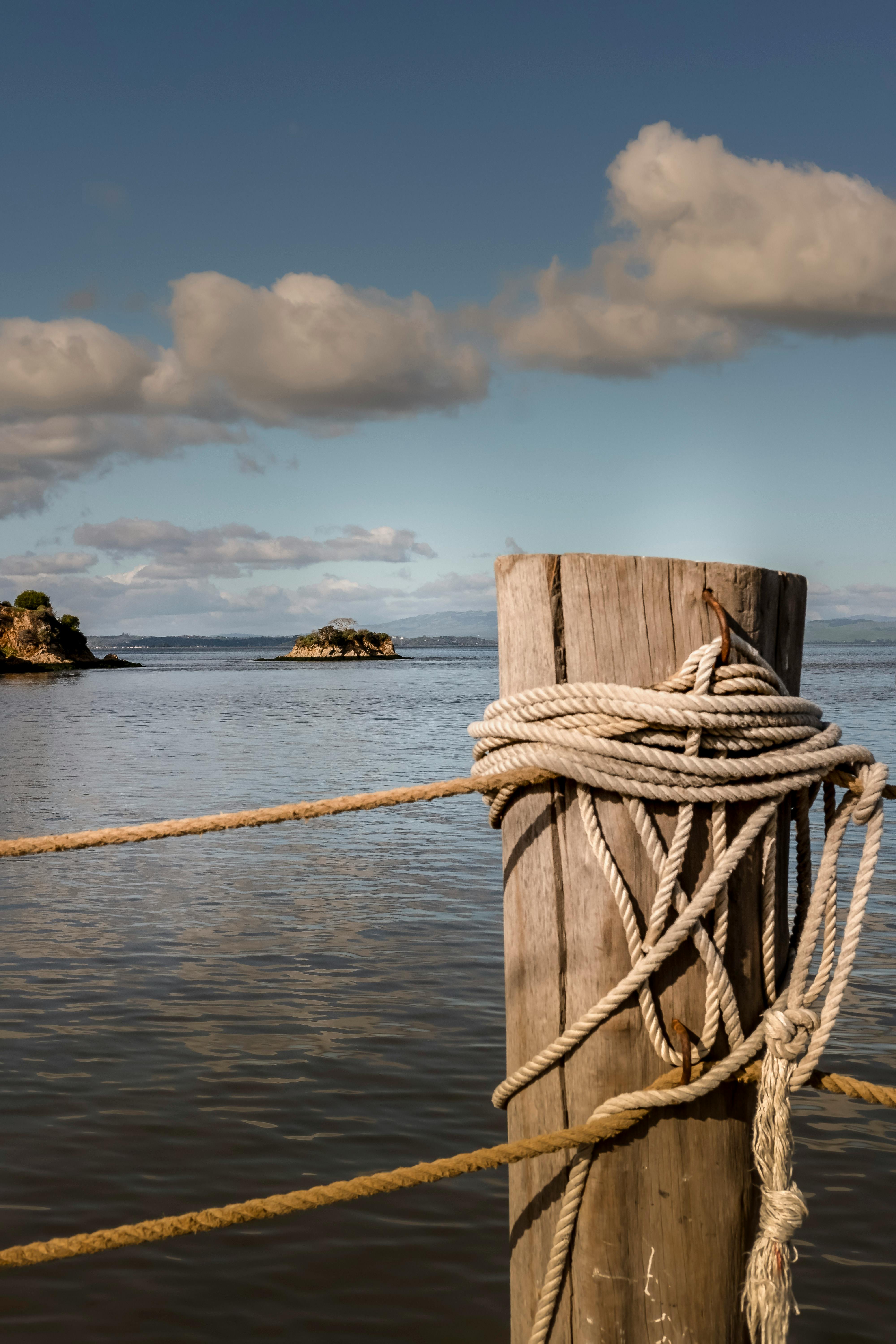 Rope on a Wood Log · Free Stock Photo