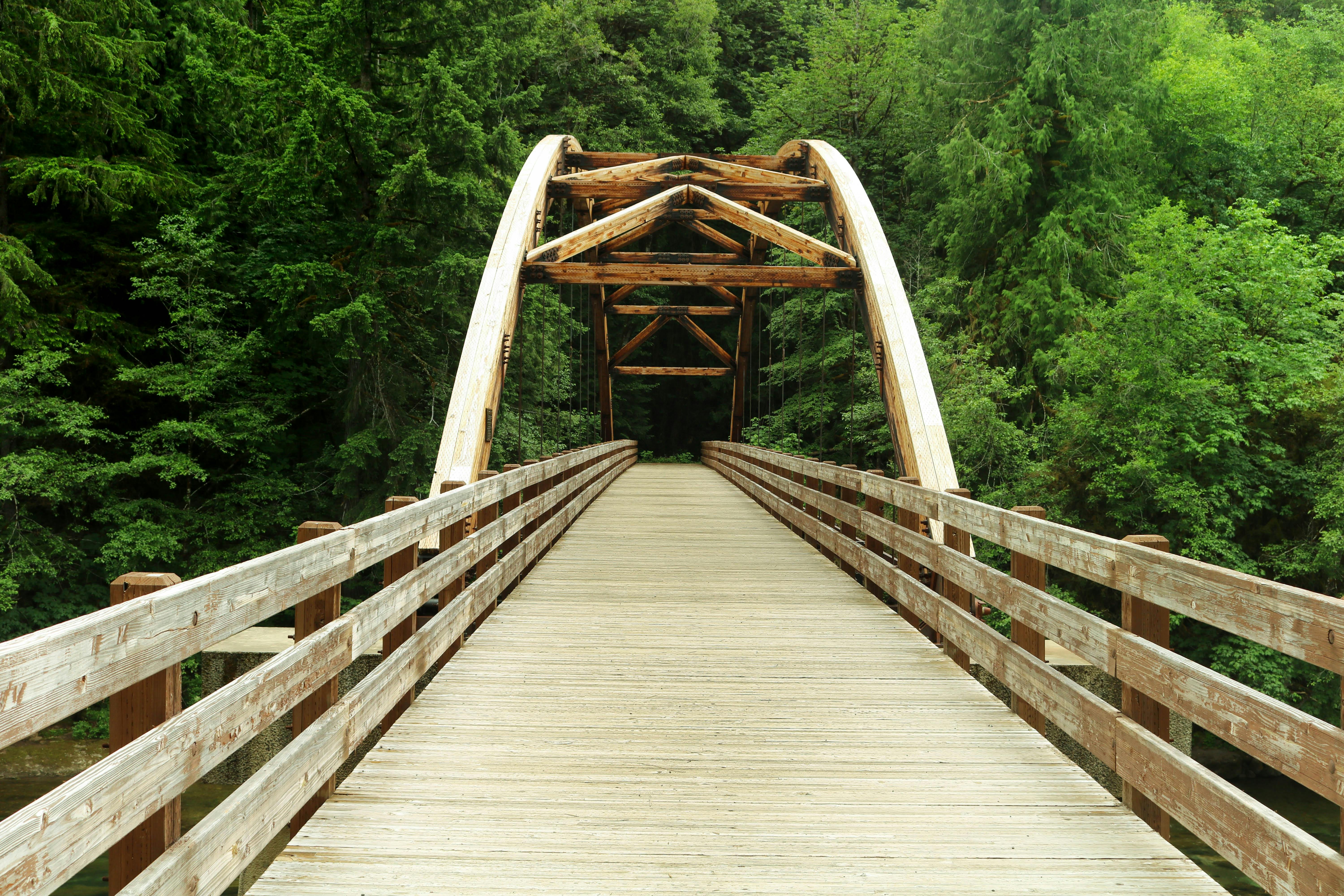 Brown Wooden Bridge in the Forest · Free Stock Photo