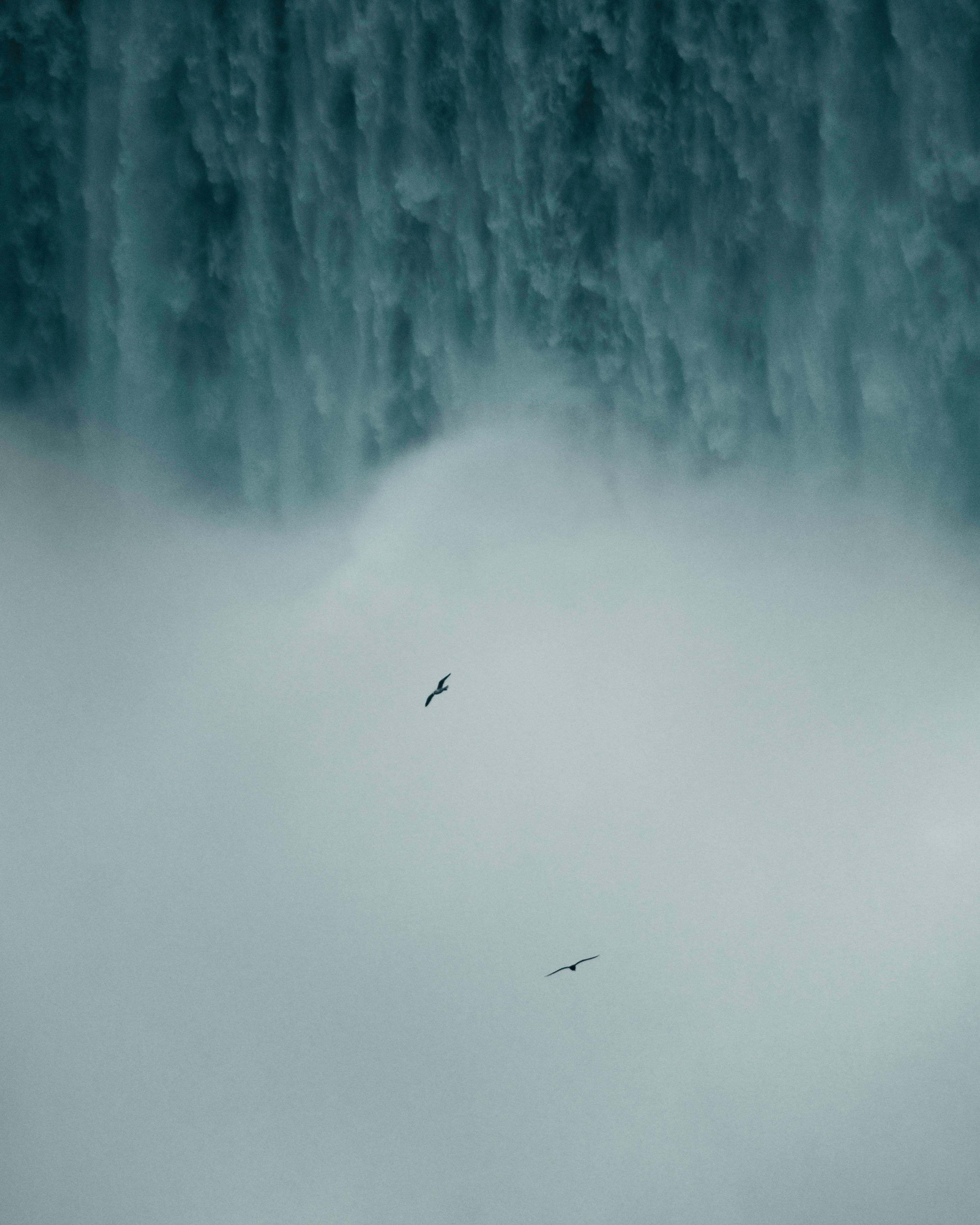 Birds Flying over Waterfalls · Free Stock Photo