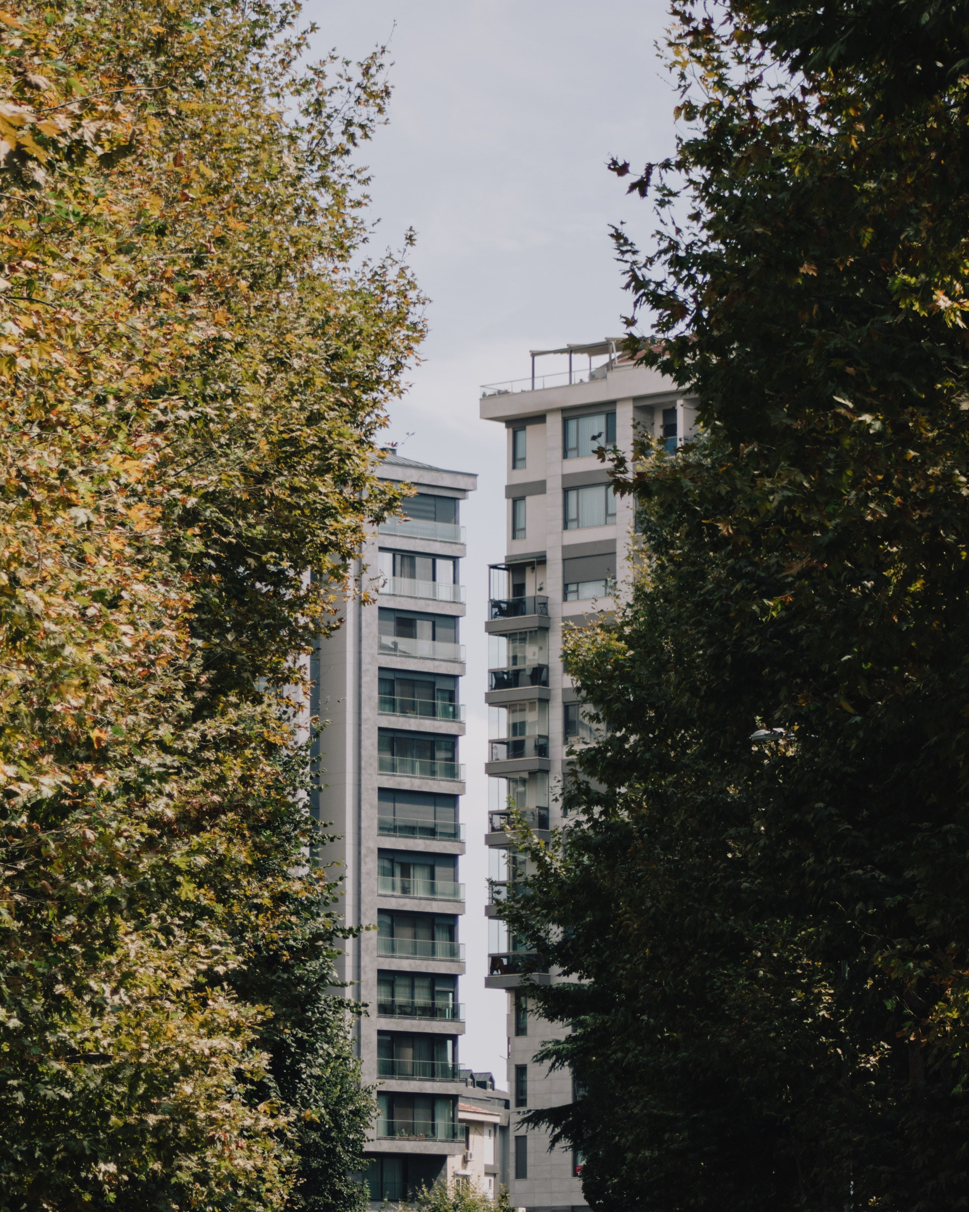 White Concrete Buildings Near Green Trees · Free Stock Photo