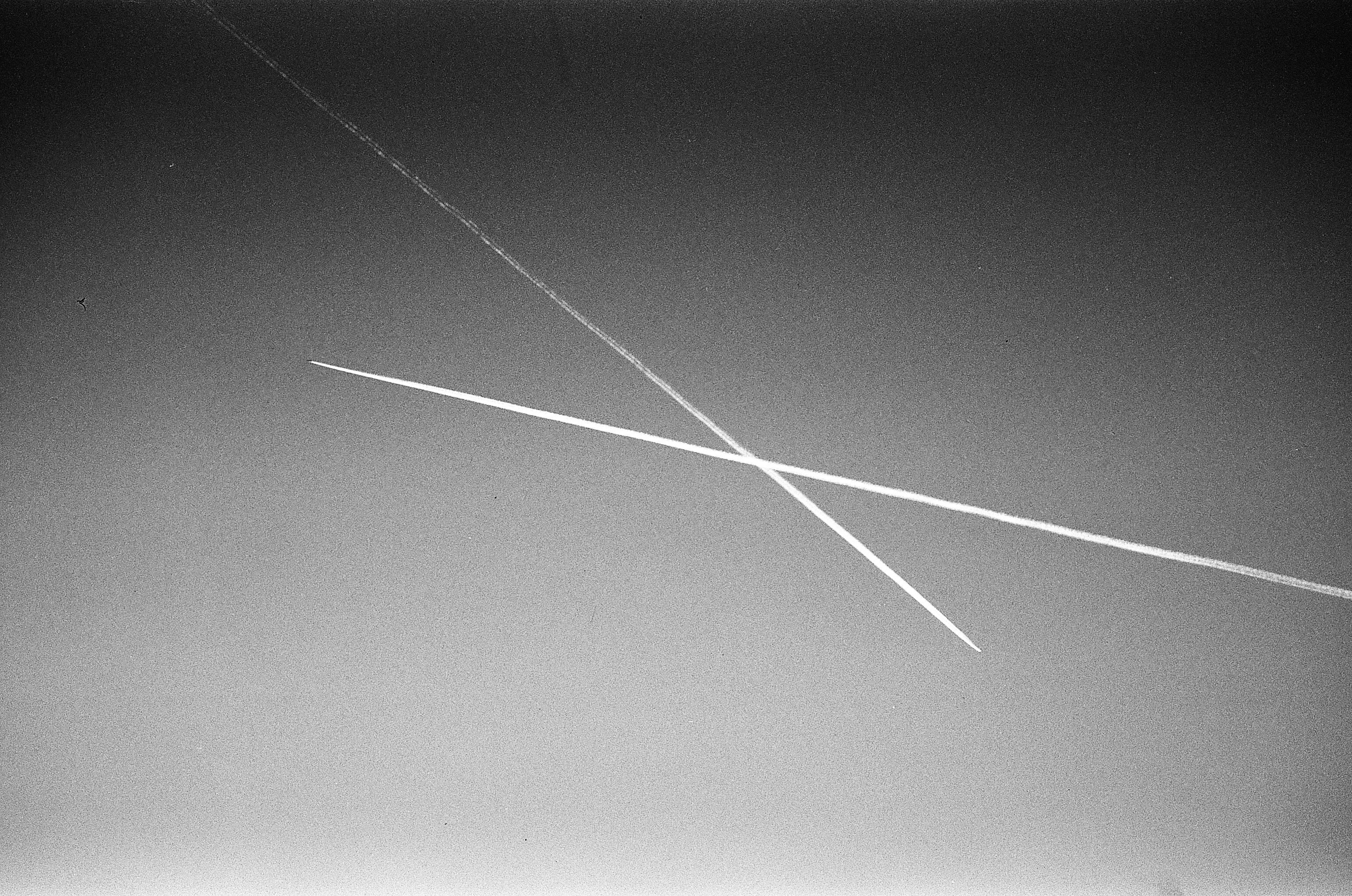 Contrails in Sky · Free Stock Photo
