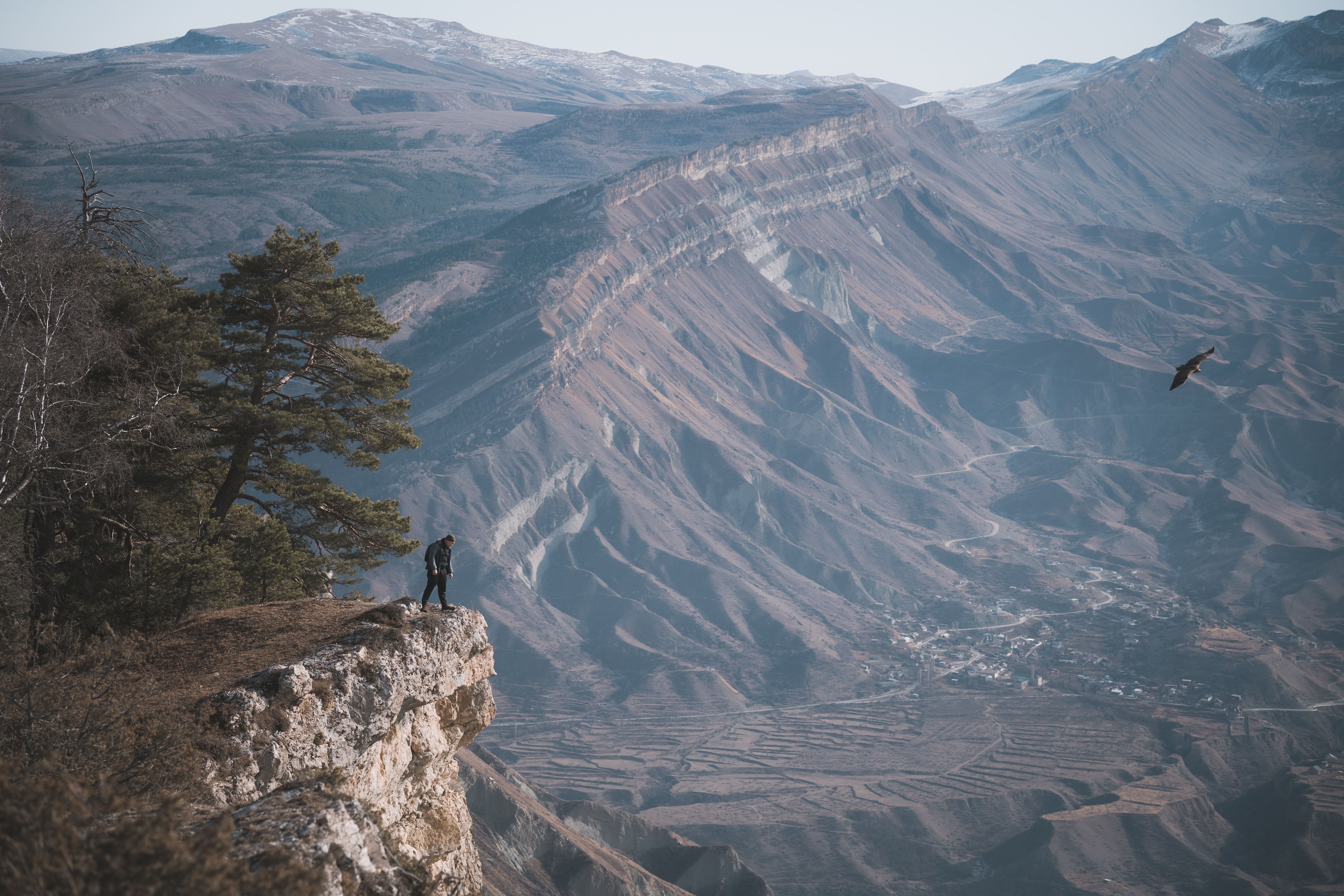 A Person Standing on a Cliff of a Mountain · Free Stock Photo