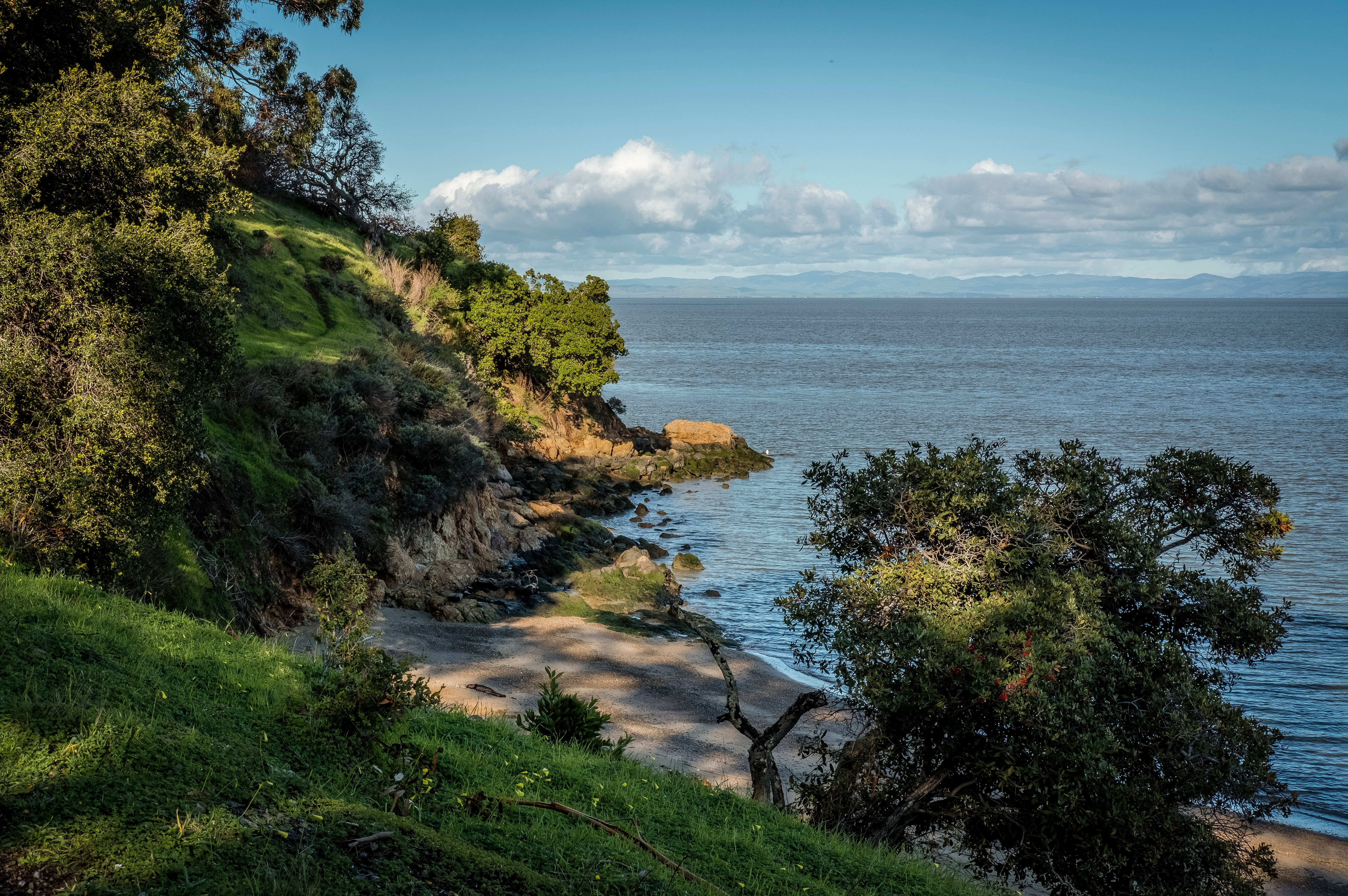 A Scenic Beach · Free Stock Photo