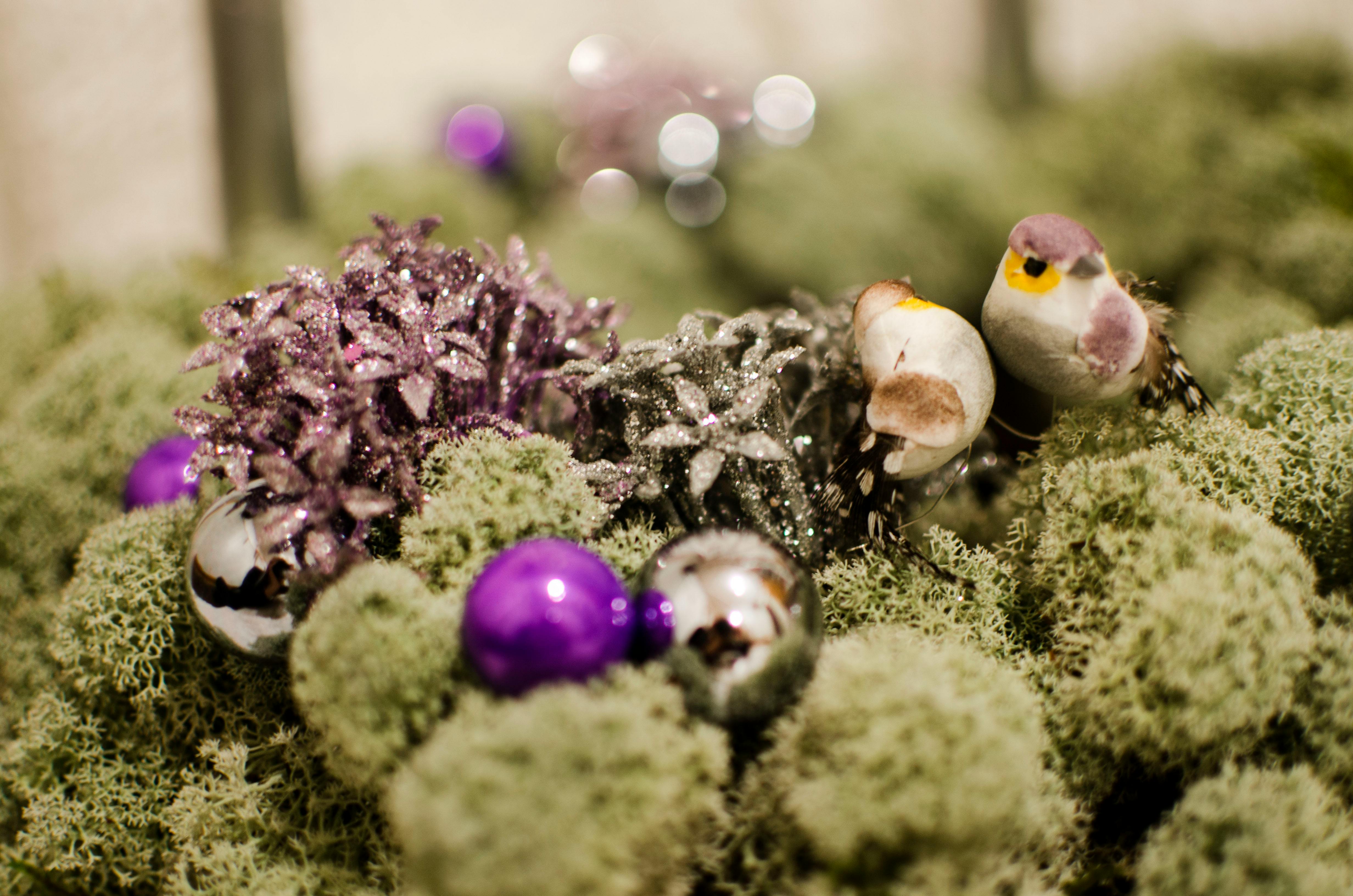 Liene Medne – Fotografie