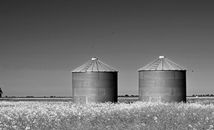 More 100 Silo Synonyms. Similar words for Silo.