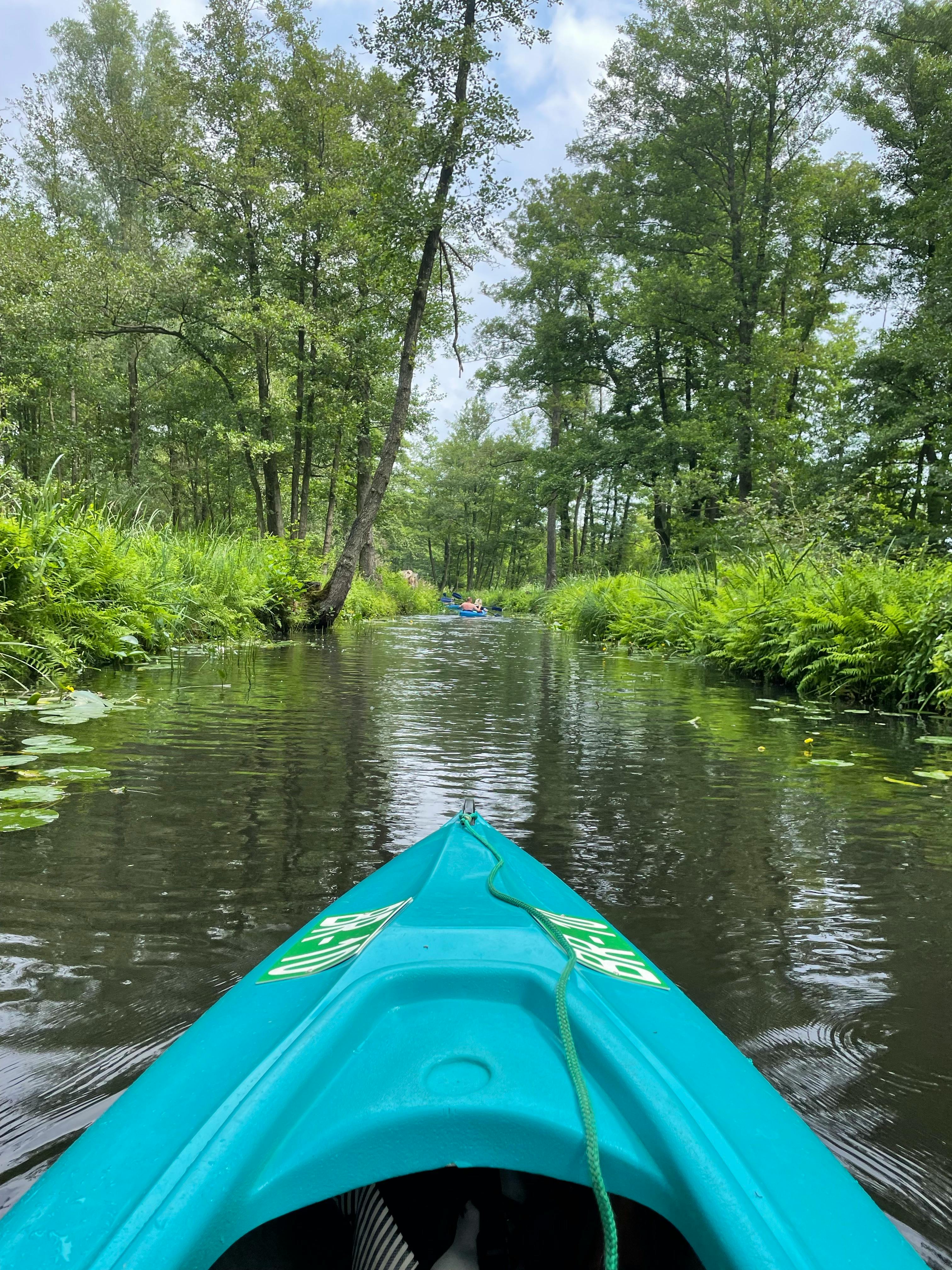 Canoe on River in Forest · Free Stock Photo