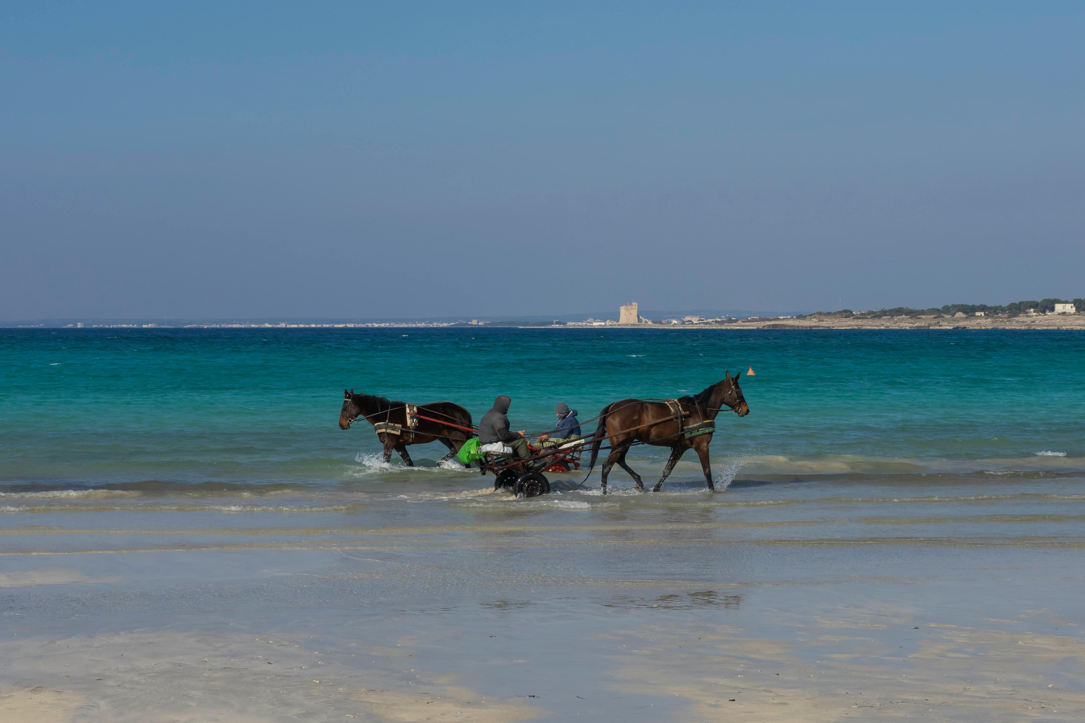 Horseless Carriages Photos, Download The BEST Free Horseless Carriages ...