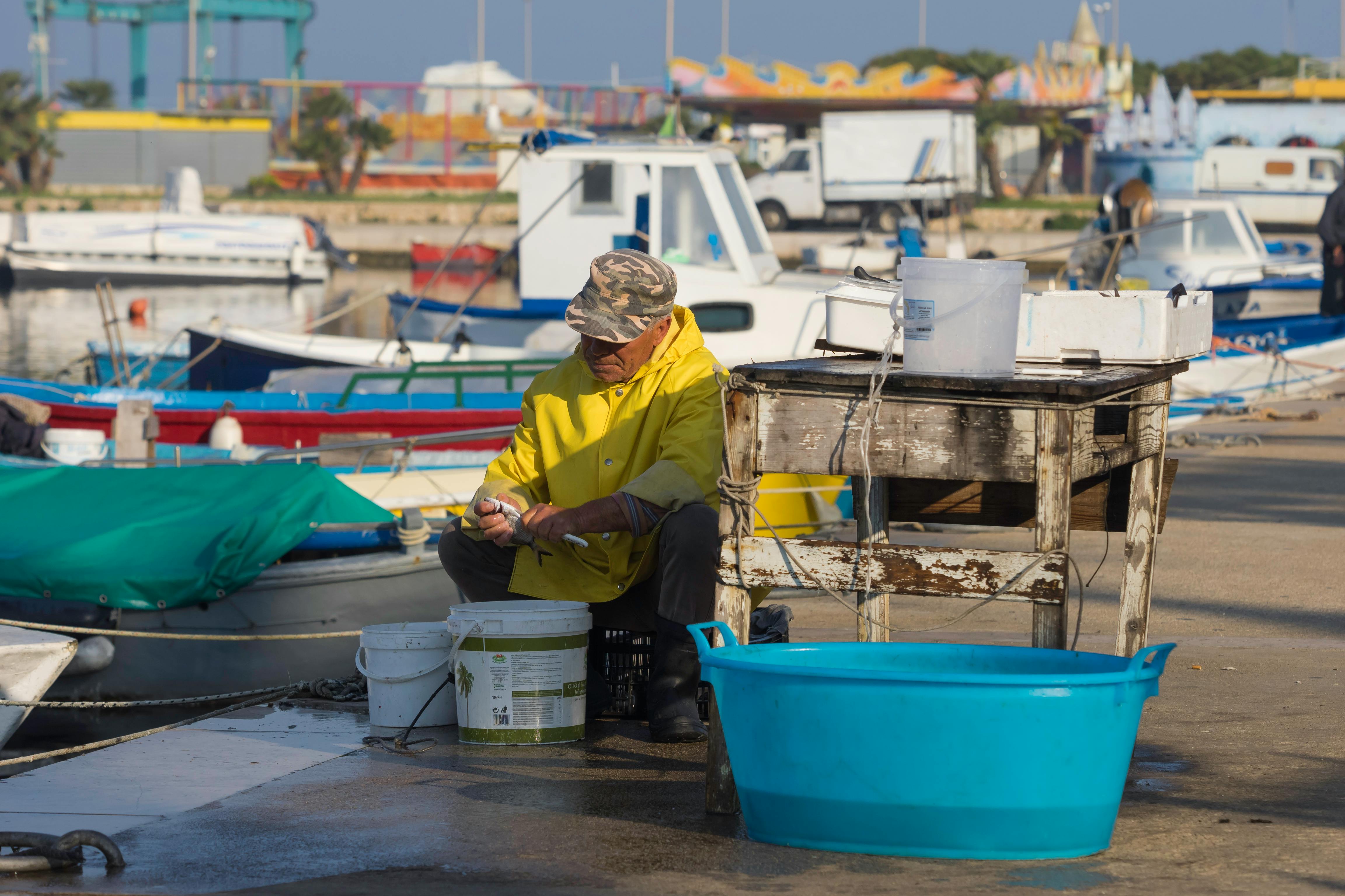 Fisherman Cleaning Fish in the Harbor · Free Stock Photo