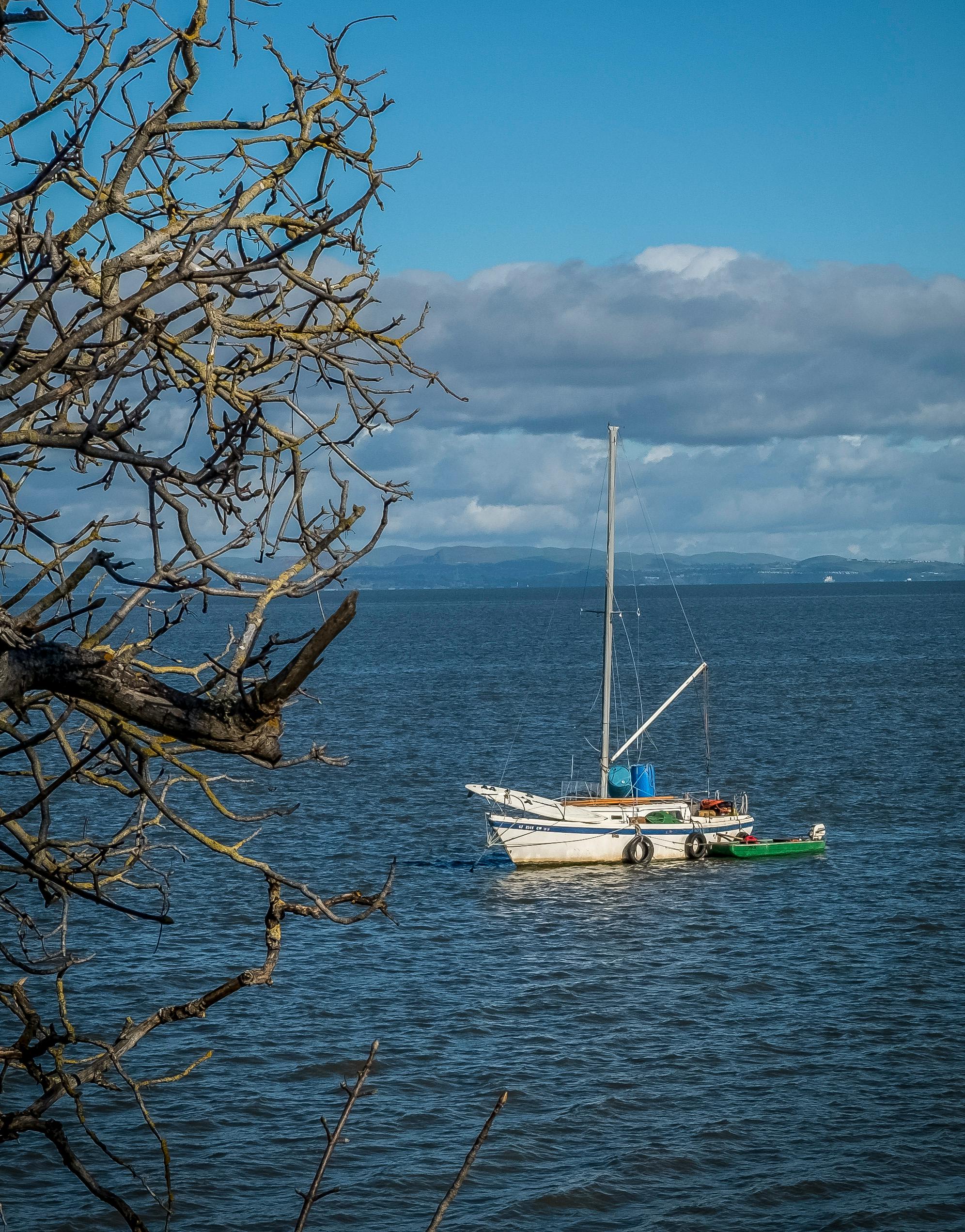 White and Blue Boat on Sea Under Blue Sky · Free Stock Photo