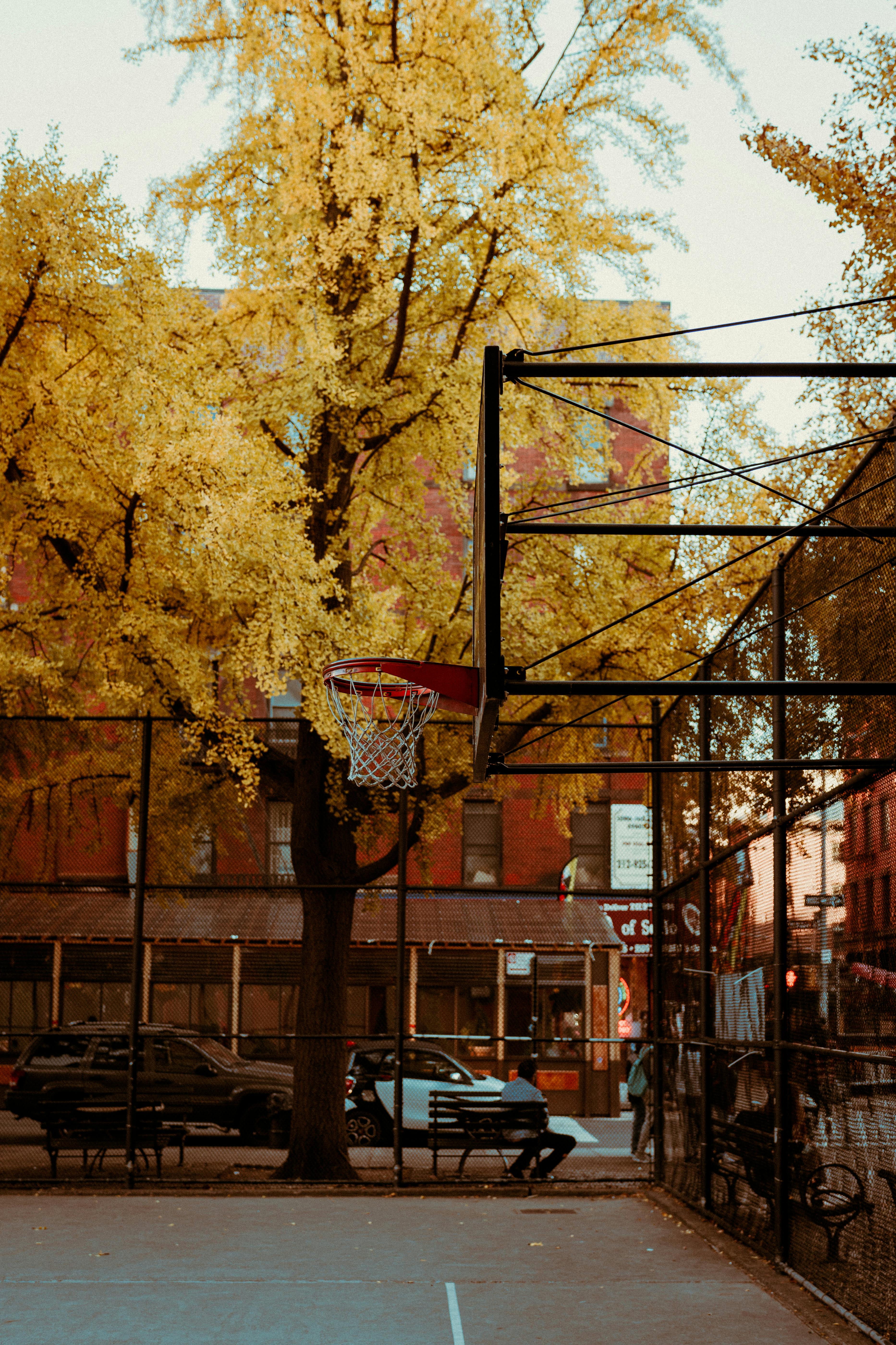 Basketball Court in a Rural Area in Autumn · Free Stock Photo