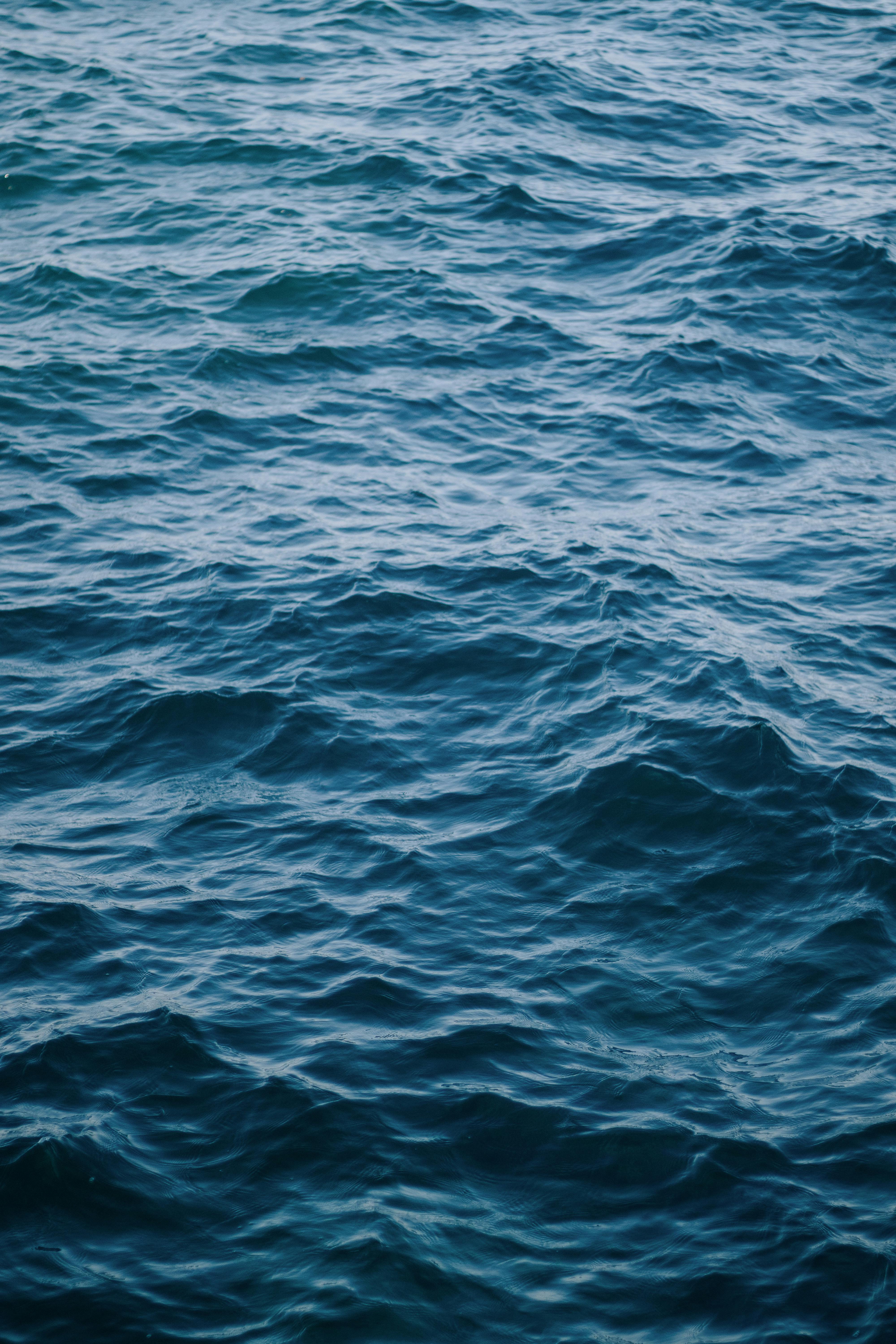 Photo of Water Ripples · Free Stock Photo