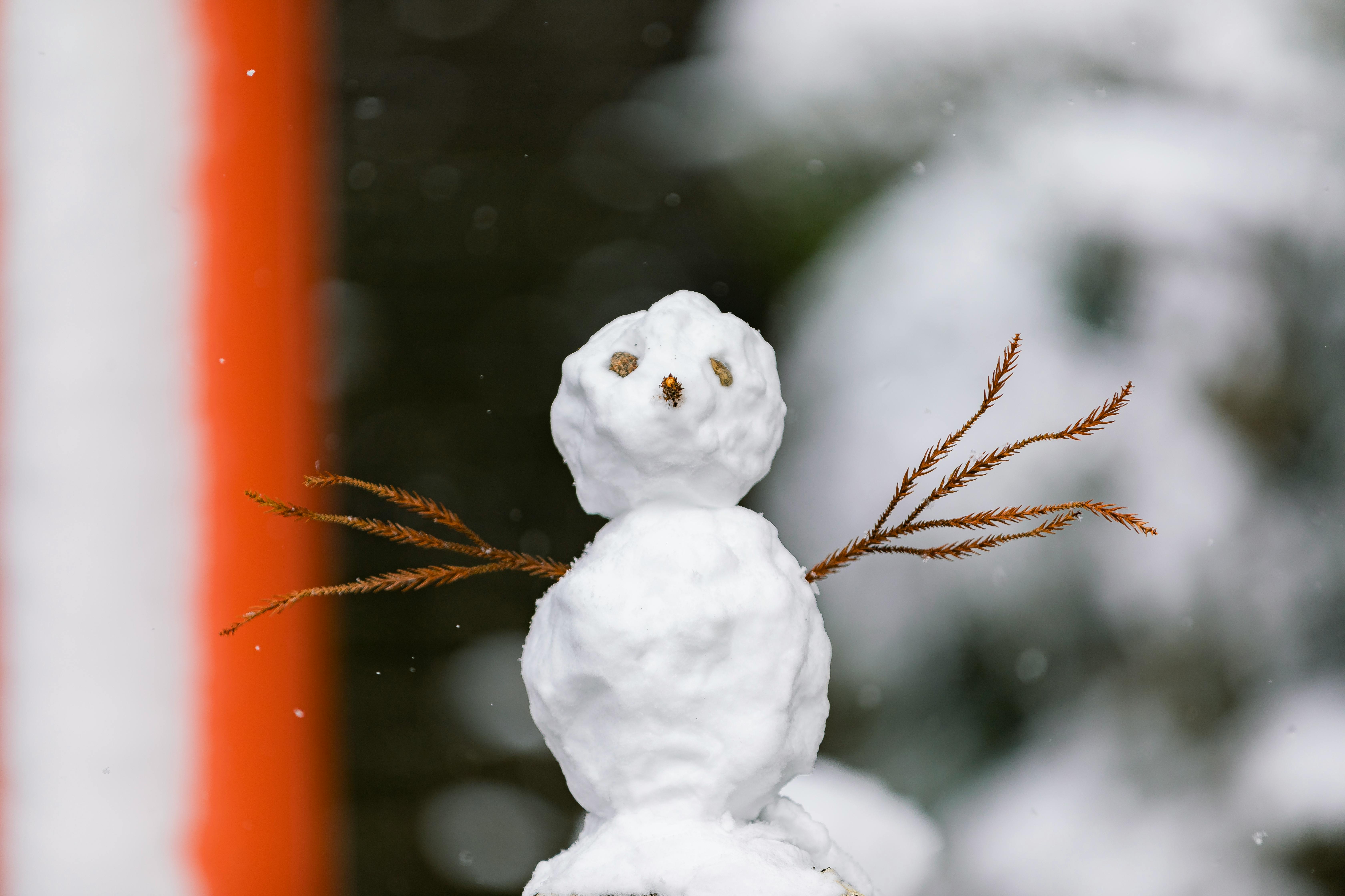 Little Snowman · Free Stock Photo