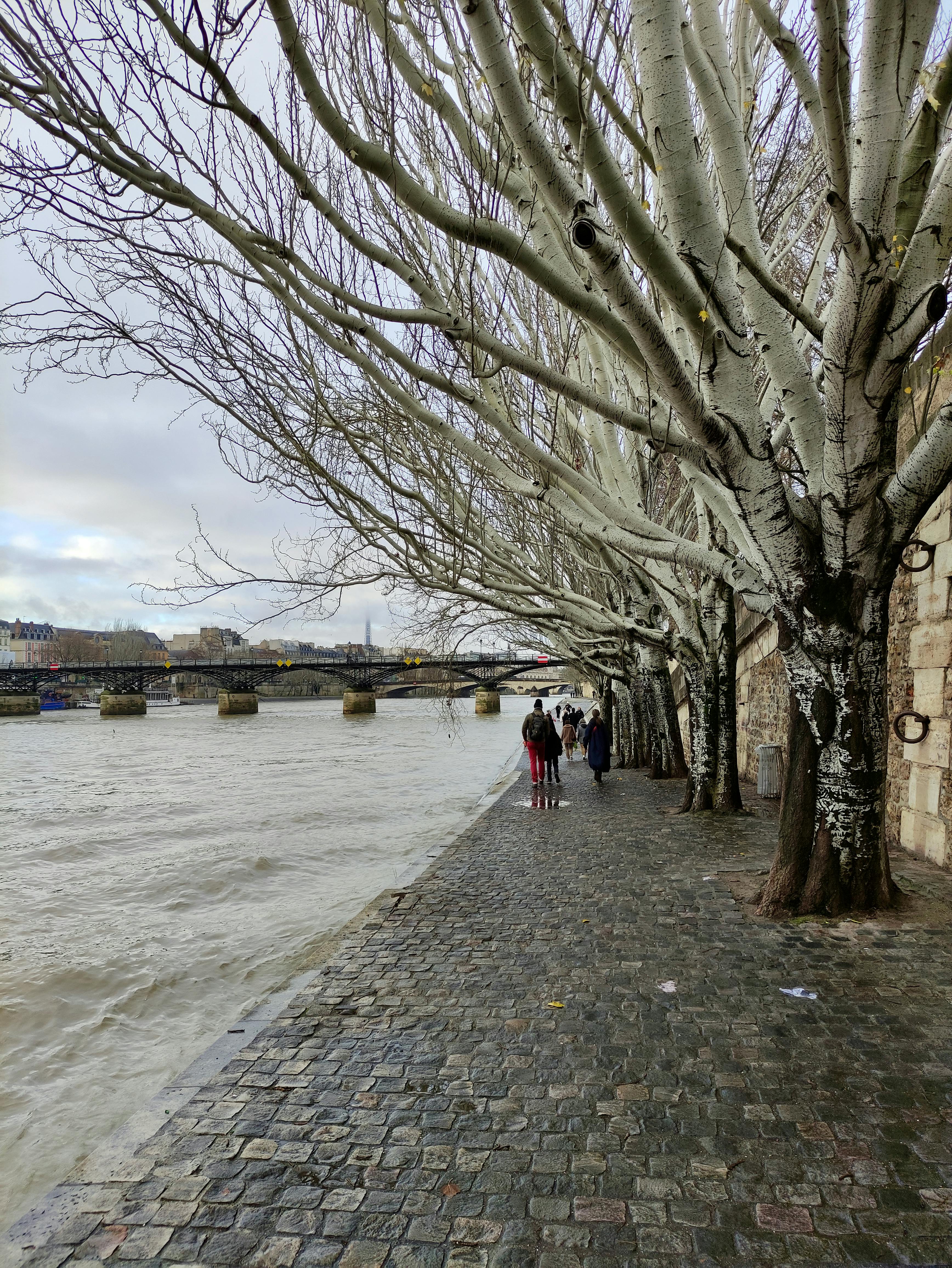 Woman Standing Near Body Of Water · Free Stock Photo