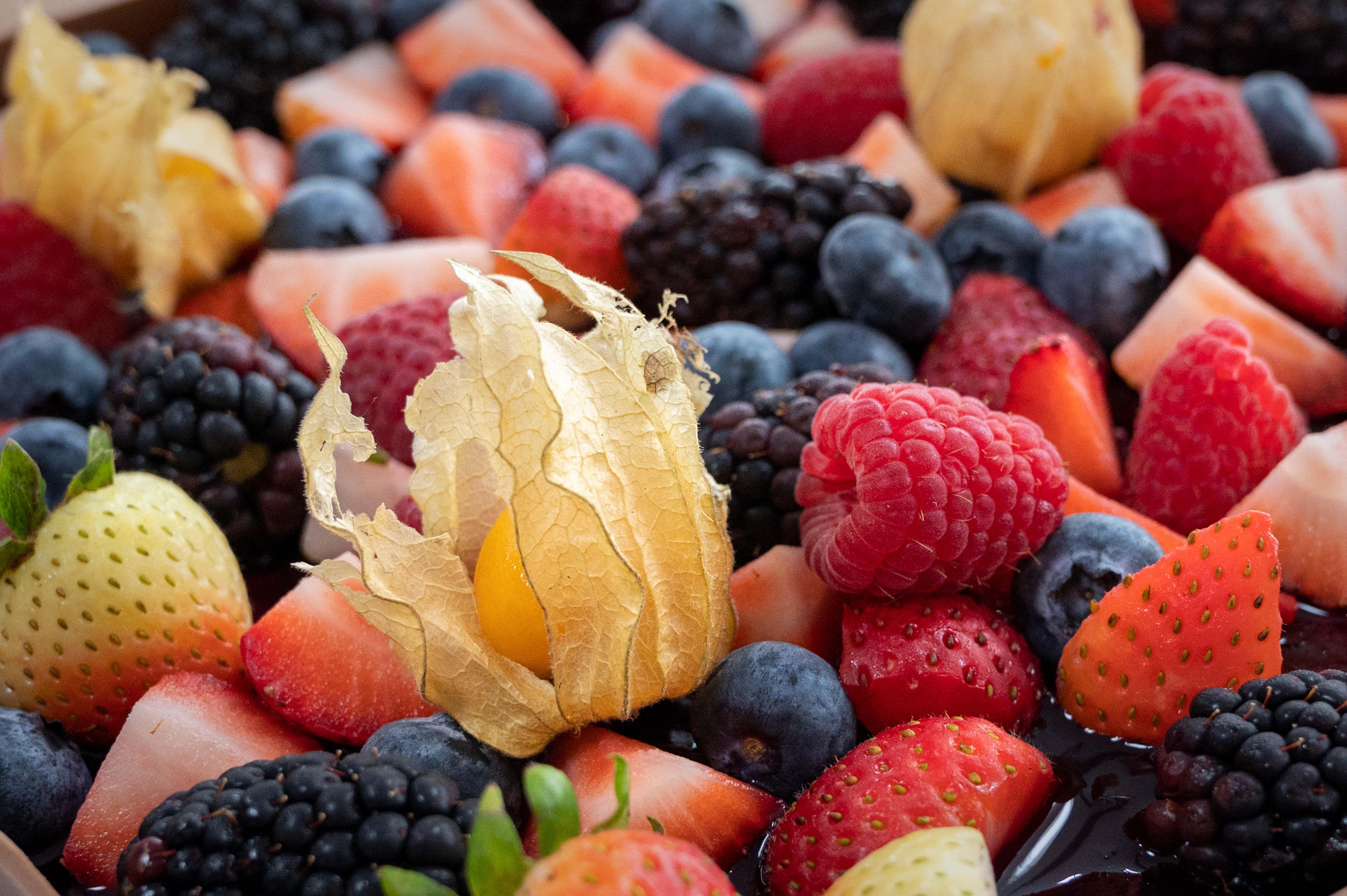 Close-up Shot of Berries · Free Stock Photo