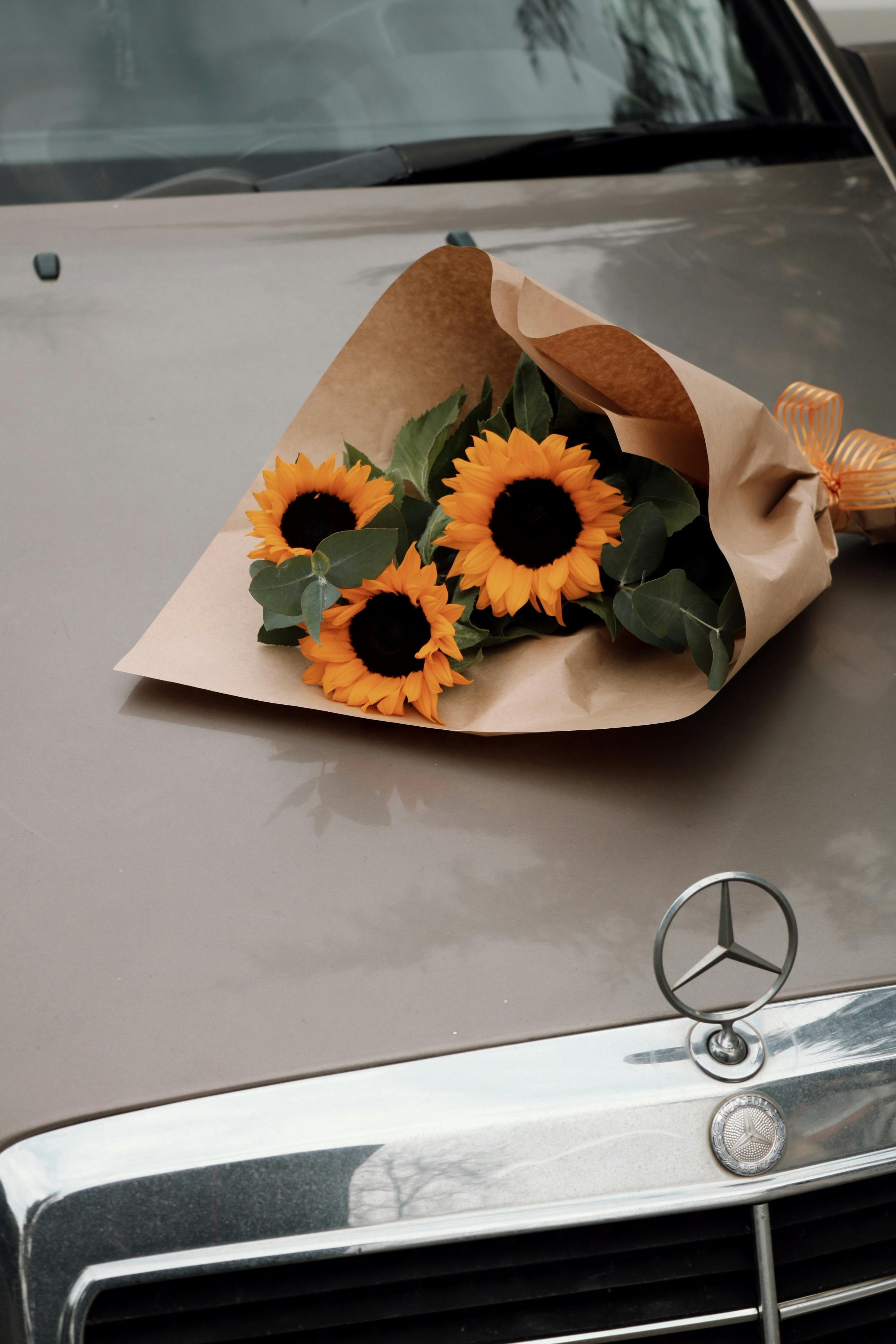 Bouquet of Sunflowers Laying on Hood of Car · Free Stock Photo