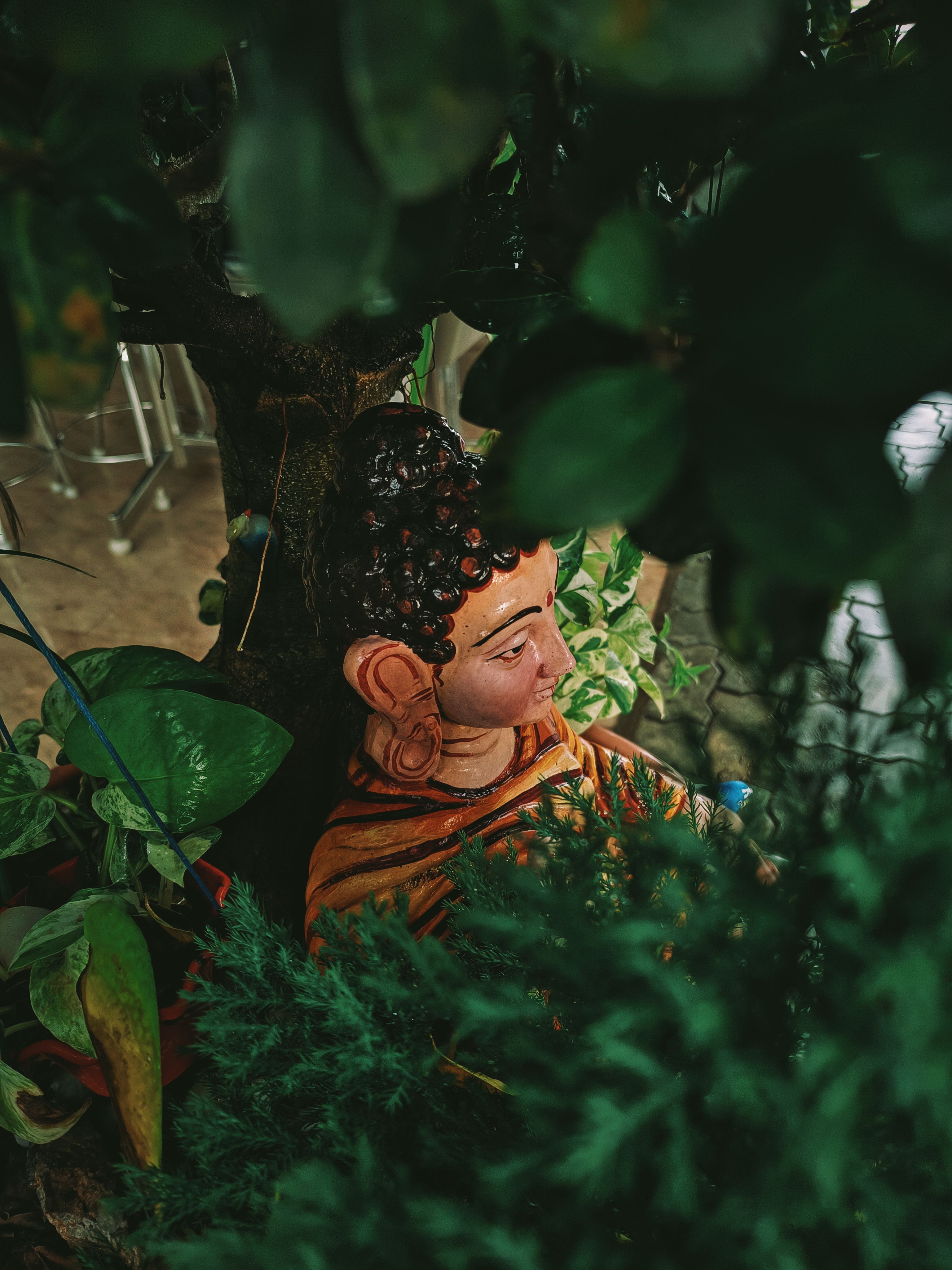 Hemakumar J - Fotografía
