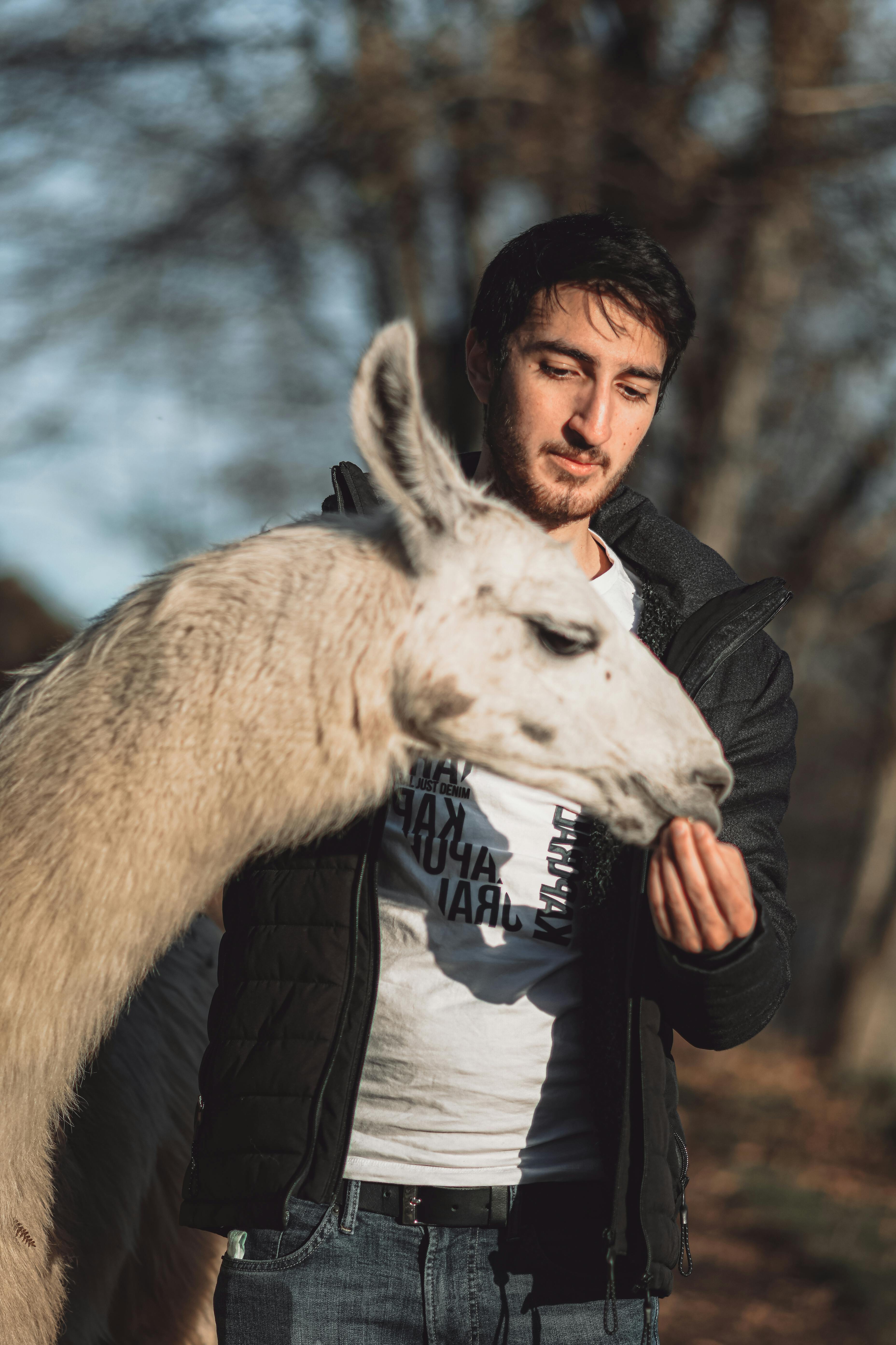 Portrait of a Man with a Llama · Free Stock Photo