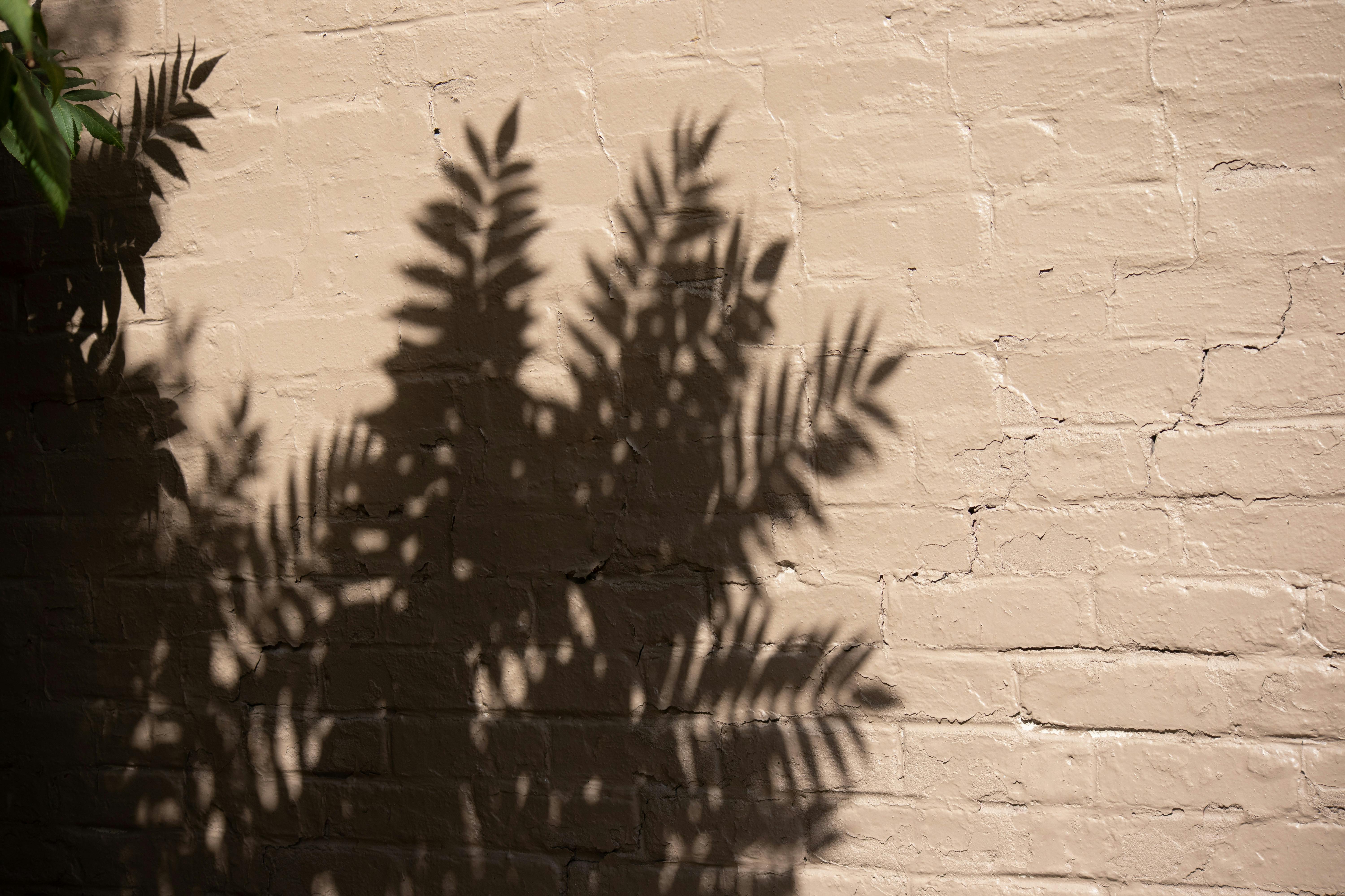 Shadows of People Casted on Brick Wall of Derelict Building · Free ...