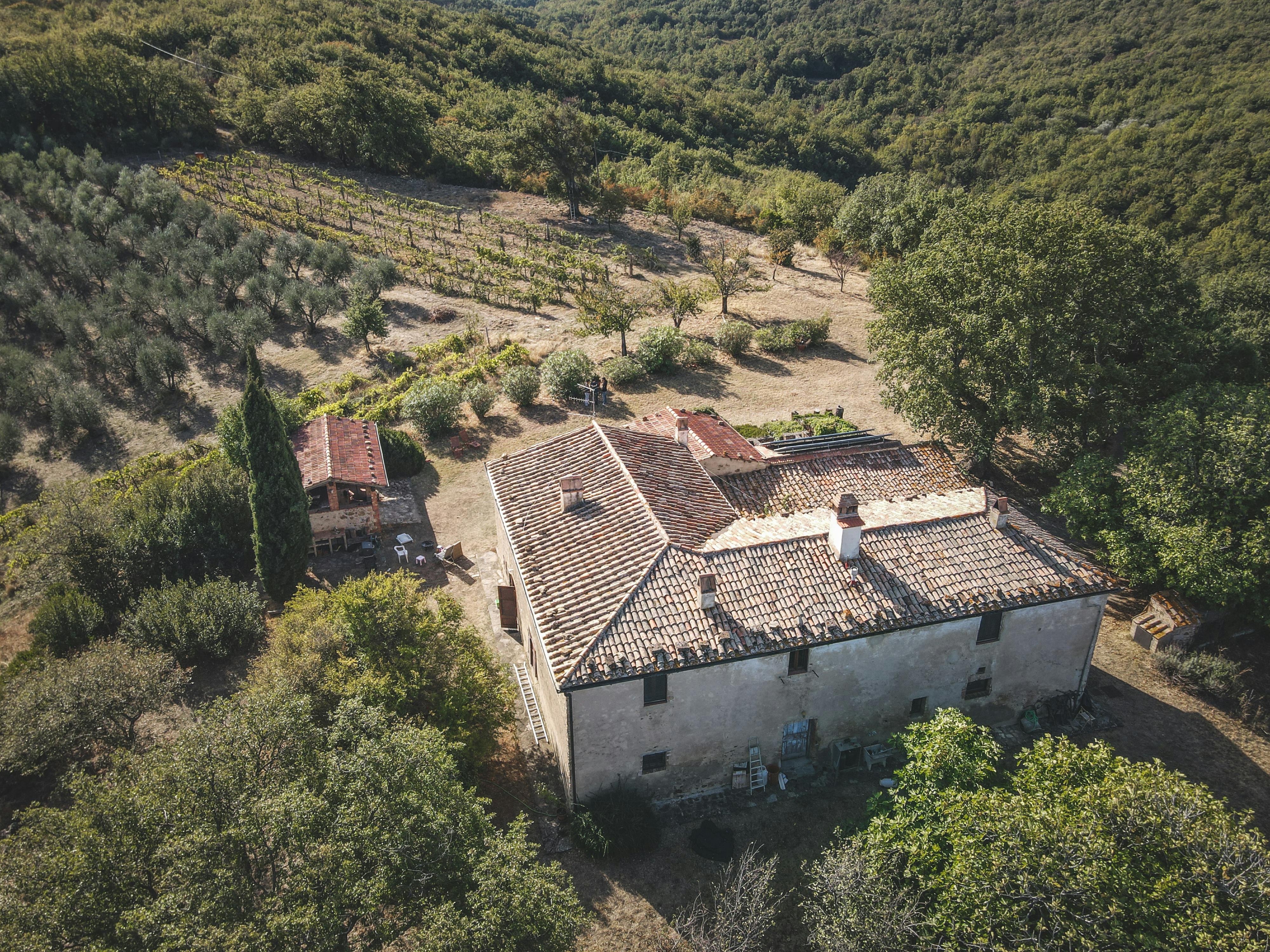 Aerial Photography of a Concrete House Surrounded by Green Trees · Free ...