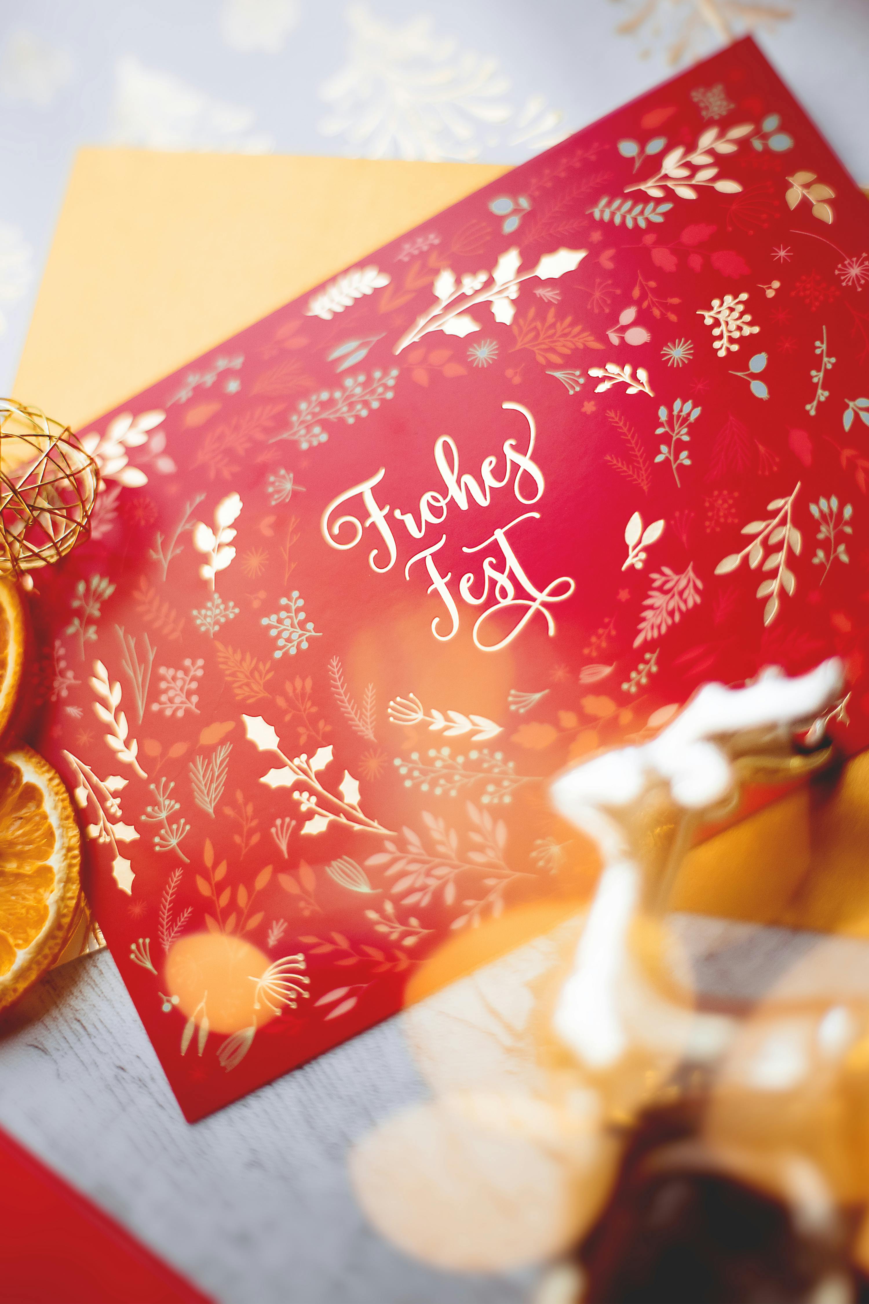 Fest Photos, Download The BEST Free Fest Stock Photos & HD Images