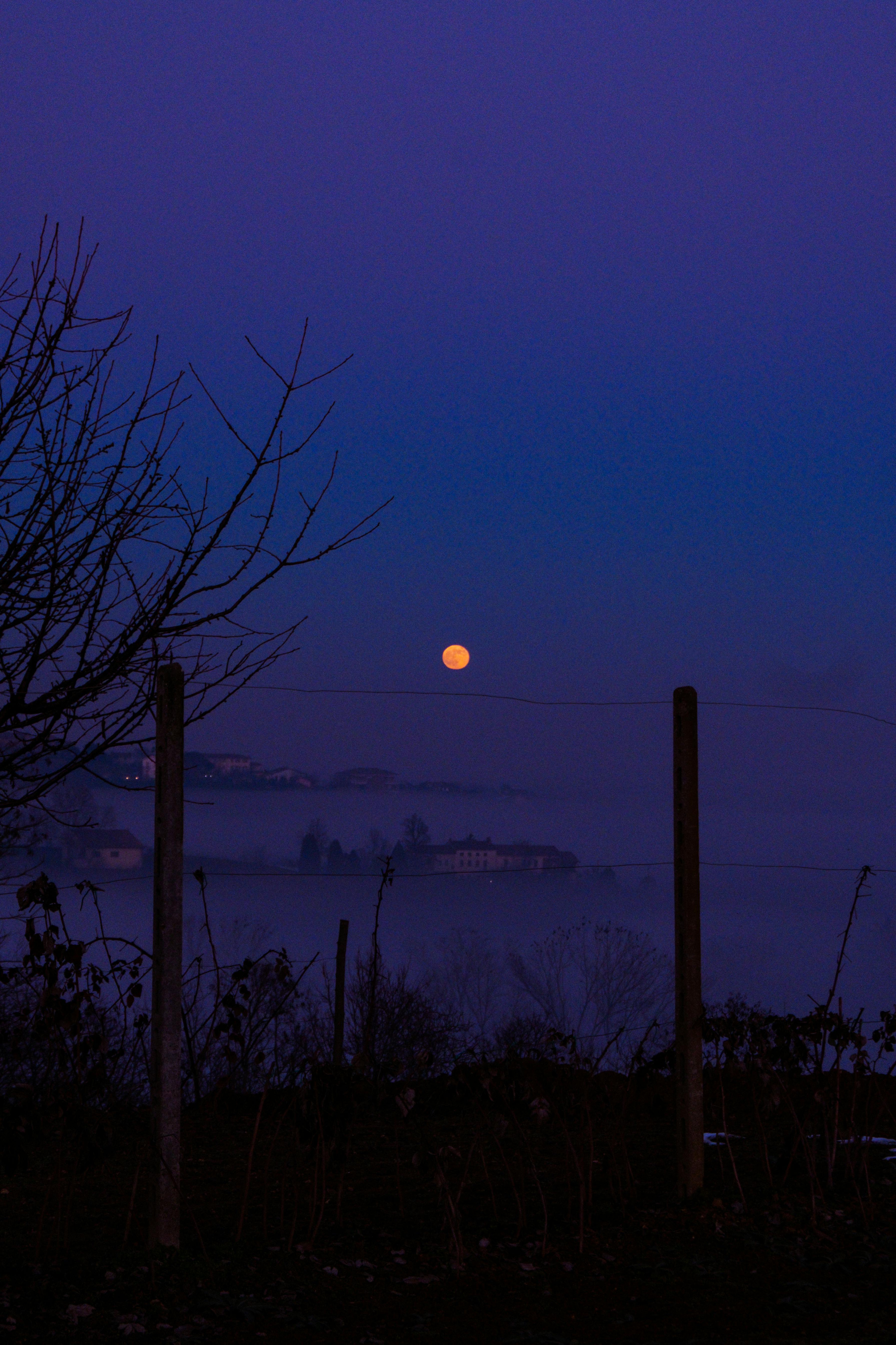 Full Moon on an Evening Sky · Free Stock Photo