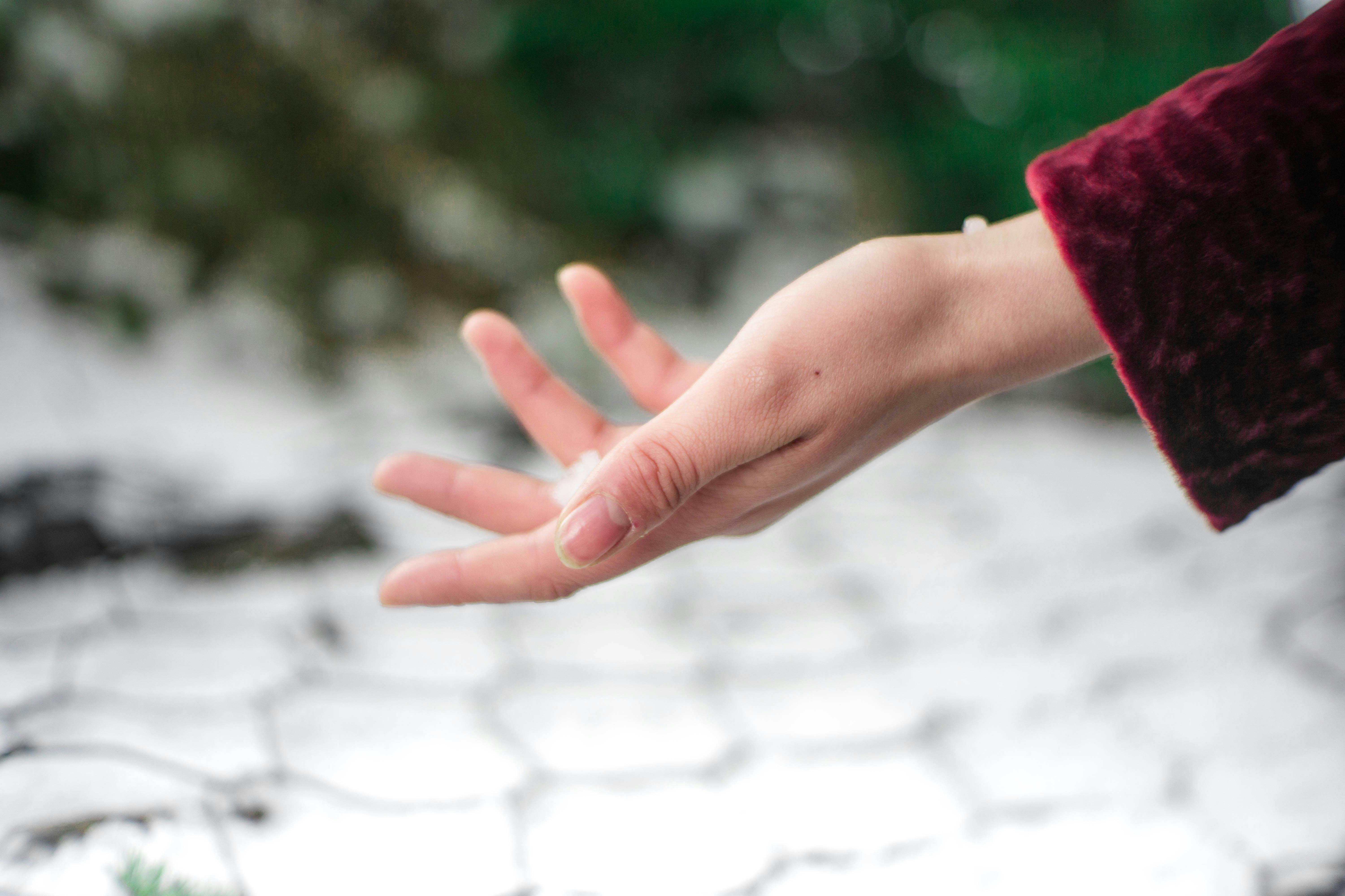 A Close-Up Shot of a Person's Hand · Free Stock Photo
