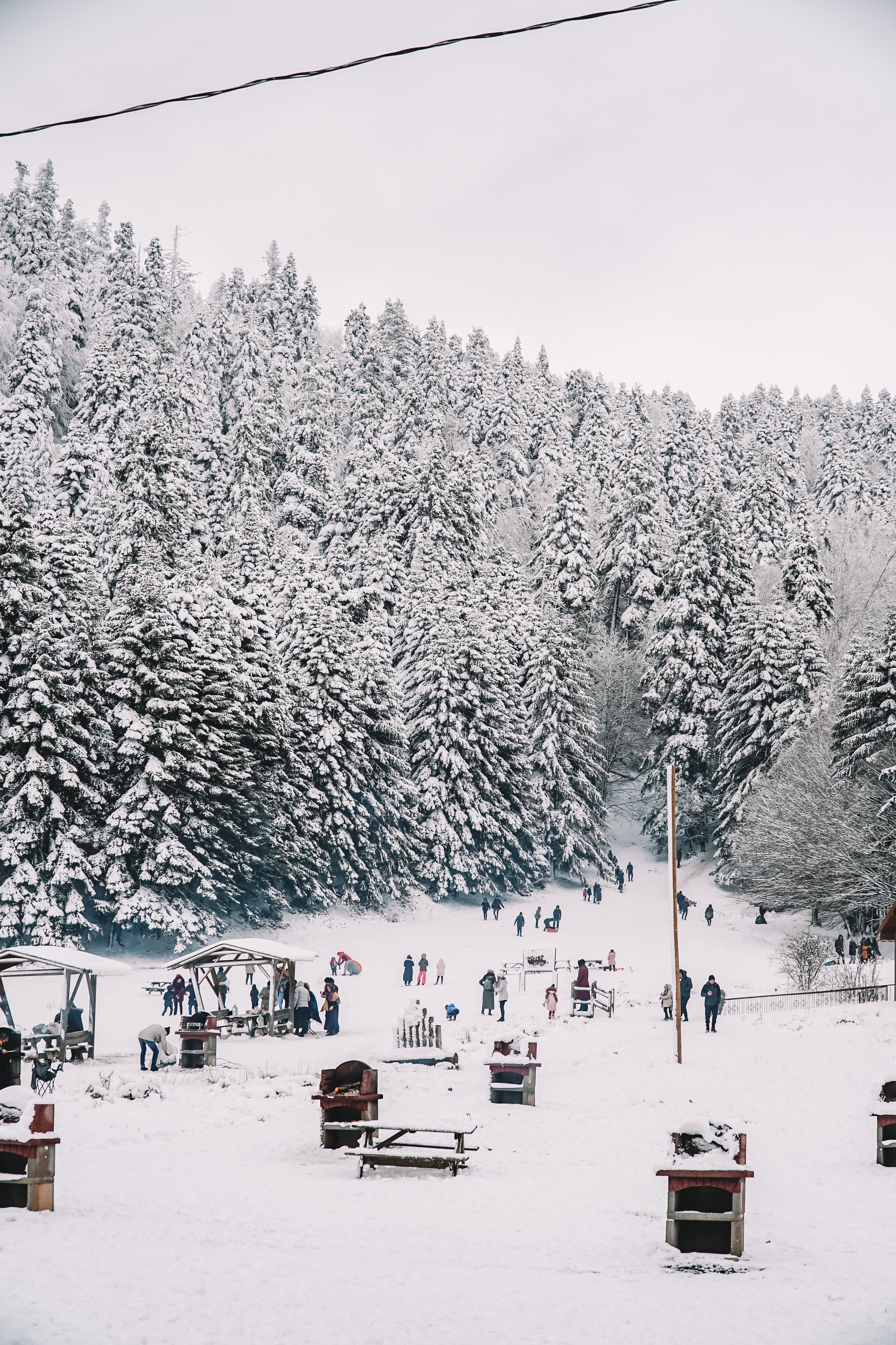 A Snow Covered Park beside a Forest · Free Stock Photo