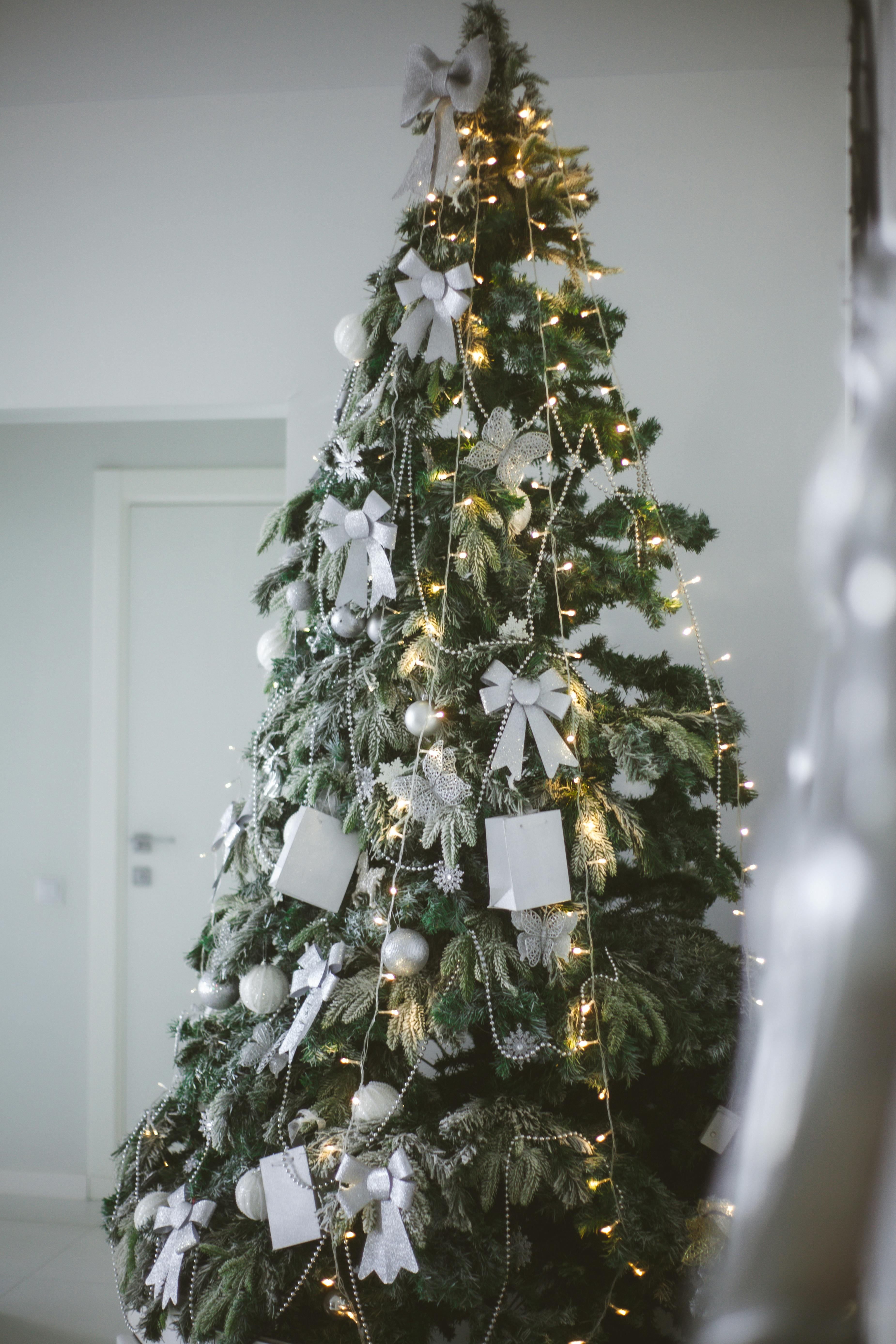 Person Decorating A Christmas Tree · Free Stock Photo