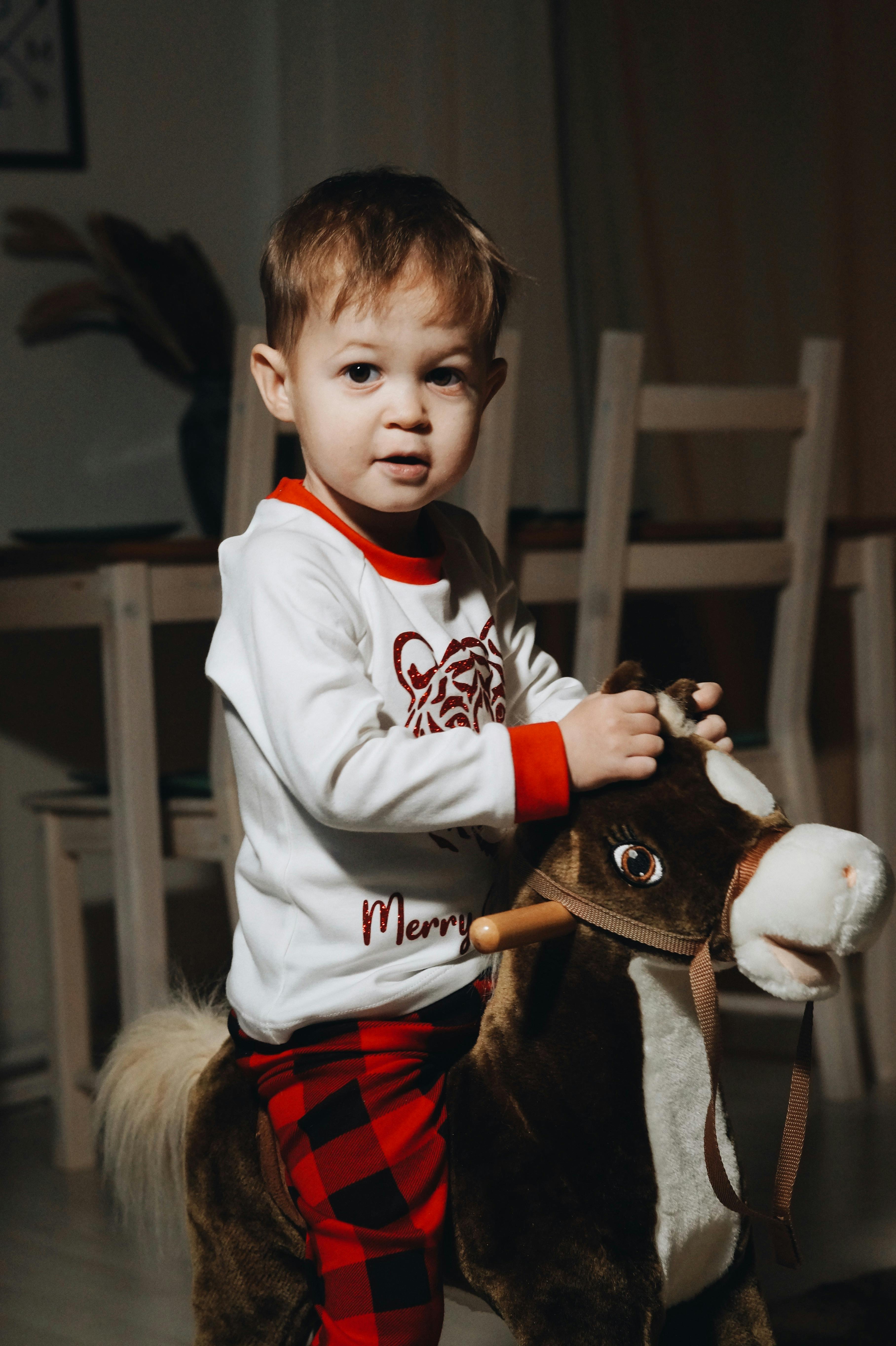 Boy Riding a Rocking Horse · Free Stock Photo