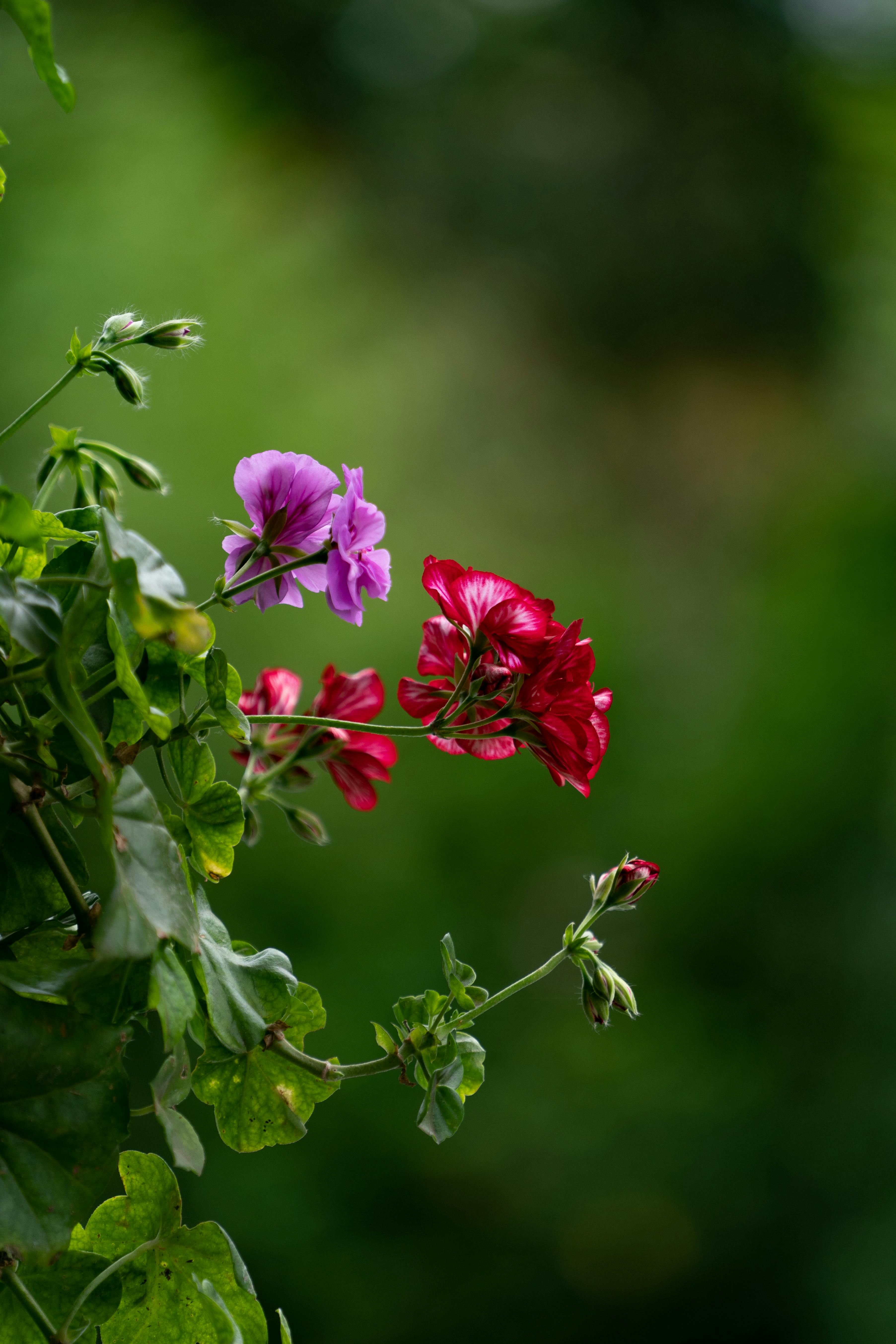 Bryan Murillo - Photography