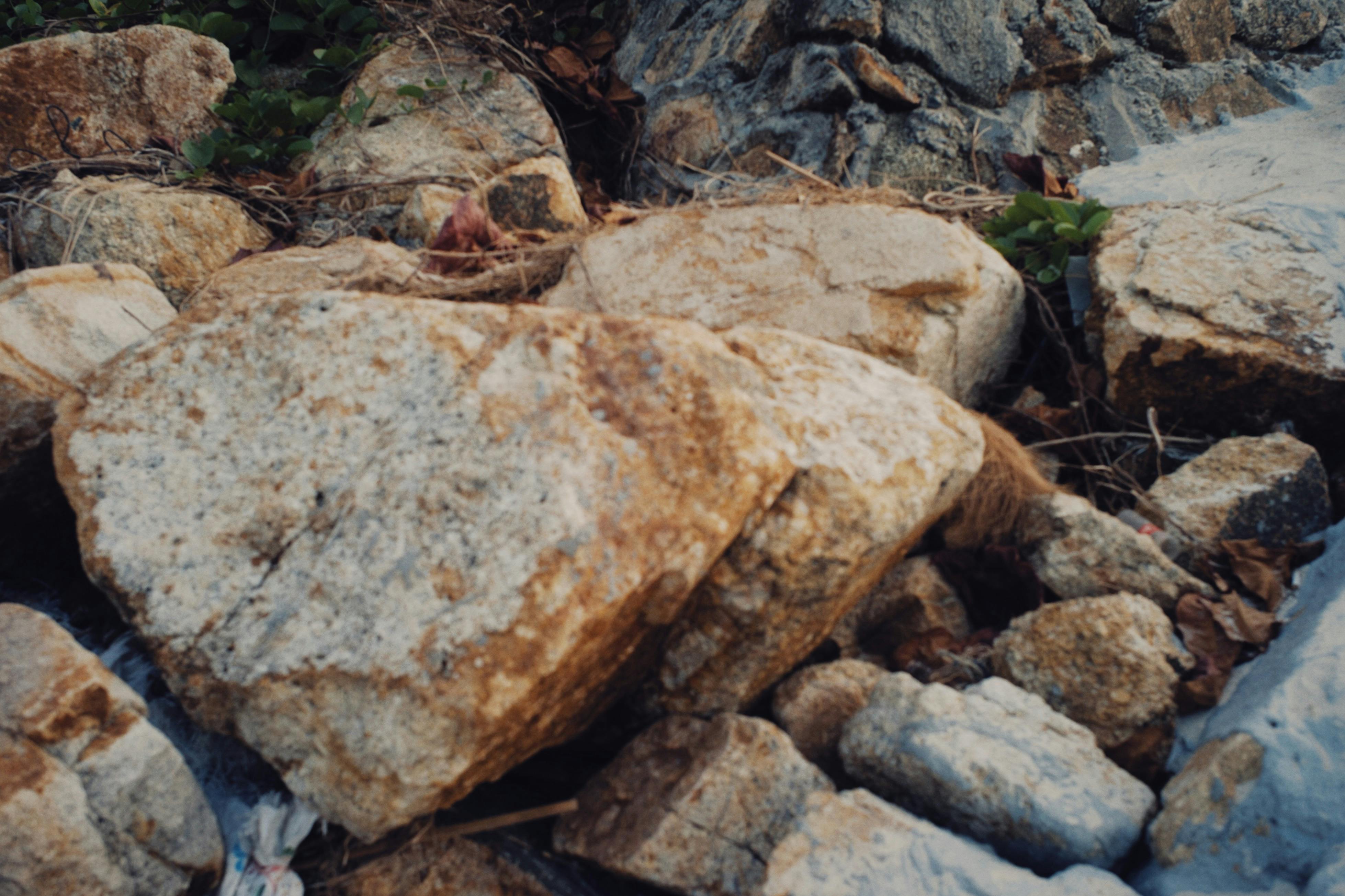 Sunlit Stones on Barren Ground · Free Stock Photo