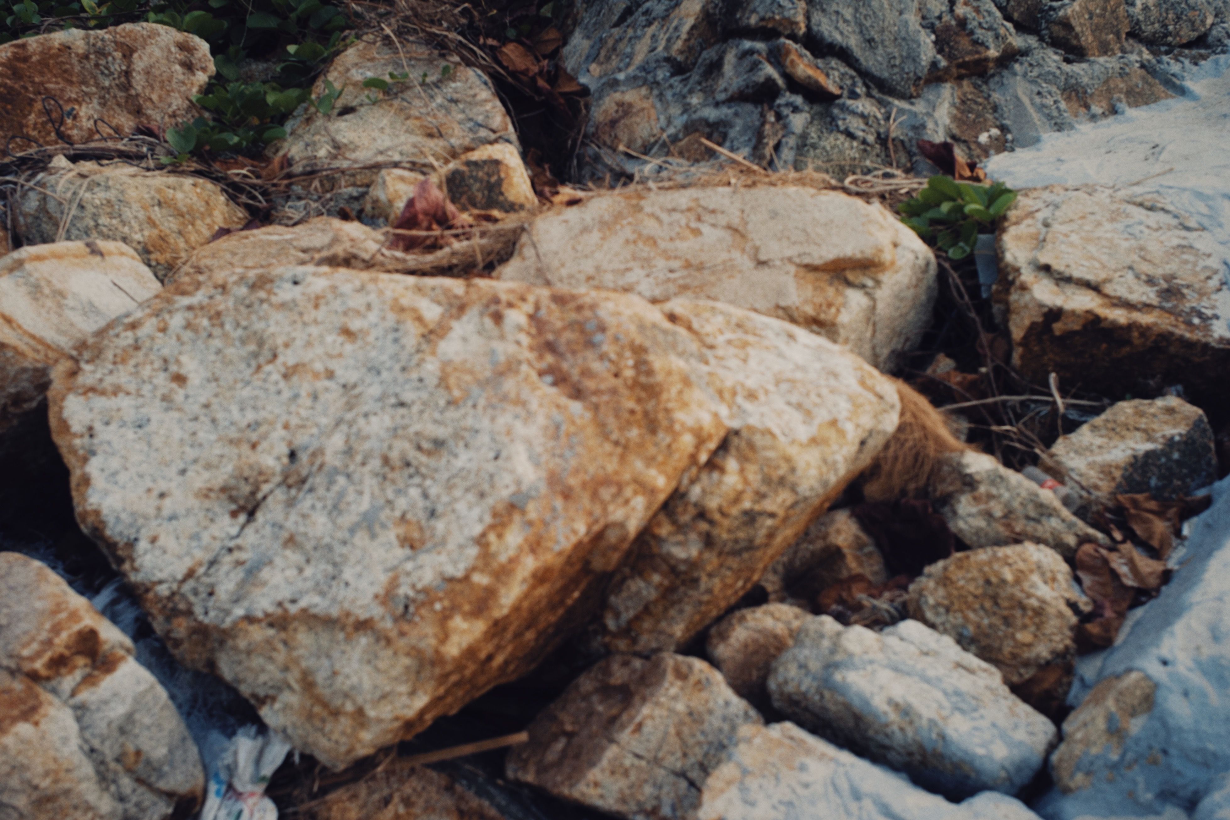 Brown Pebbles on Mirror · Free Stock Photo