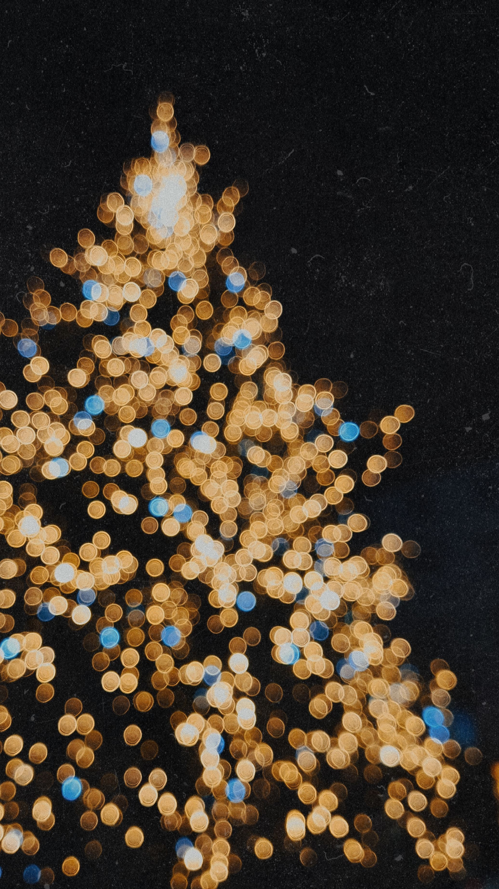 Blurry Christmas Lights on Black Background · Free Stock Photo