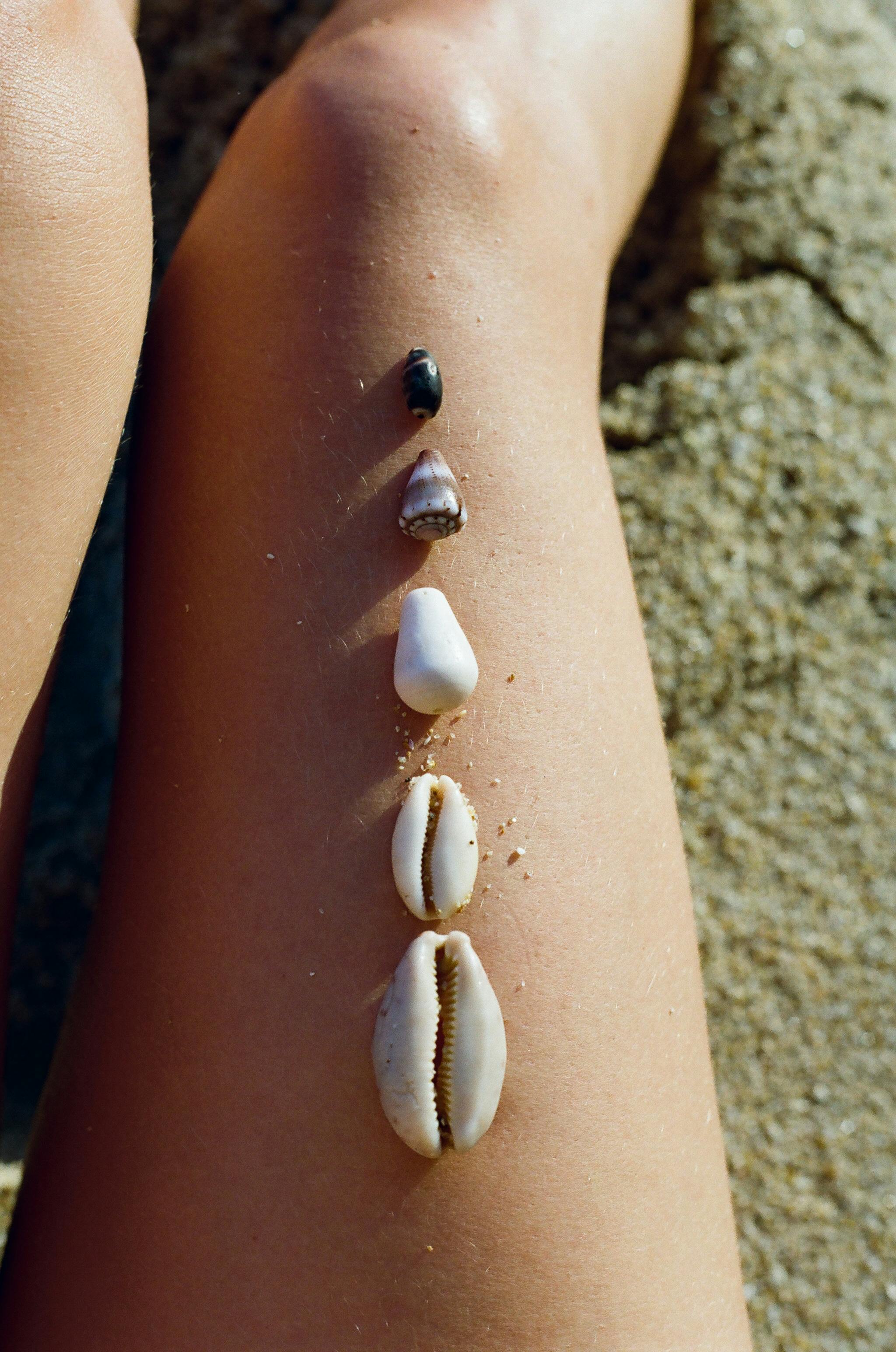Shells on Woman Leg on Beach · Free Stock Photo