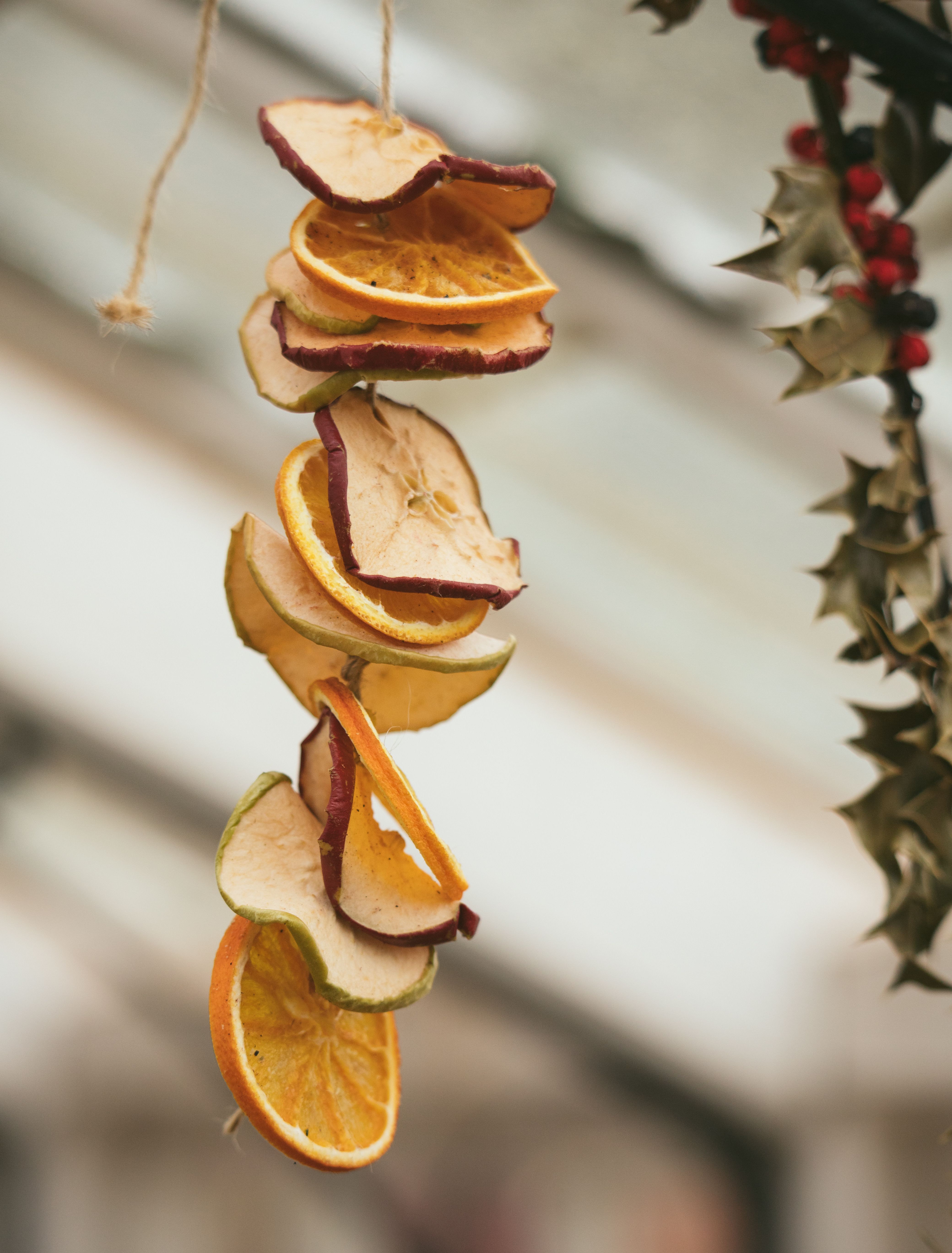 Close-up of Dried Fruit Slices on a String · Free Stock Photo