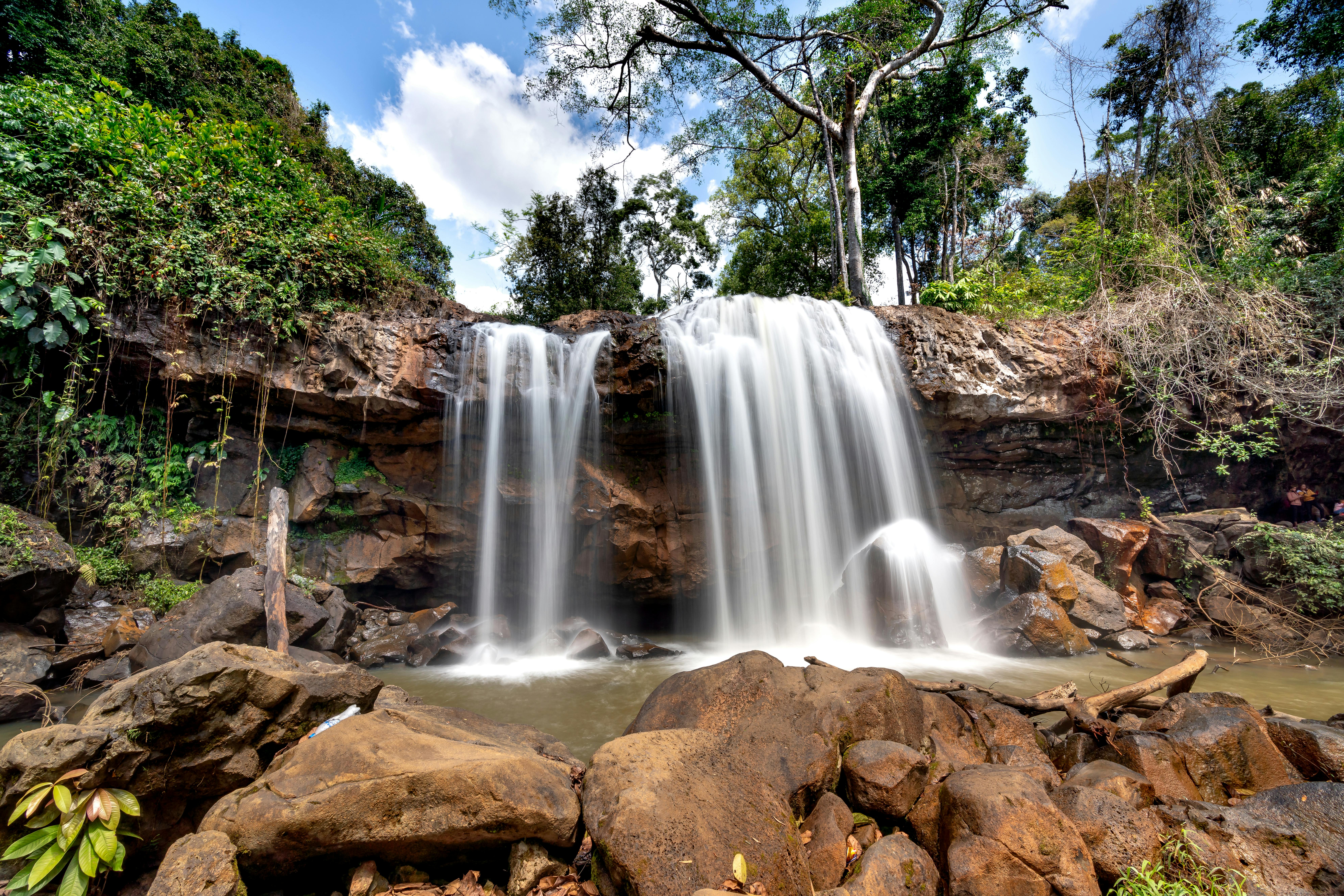 Trees over Waterfall · Free Stock Photo