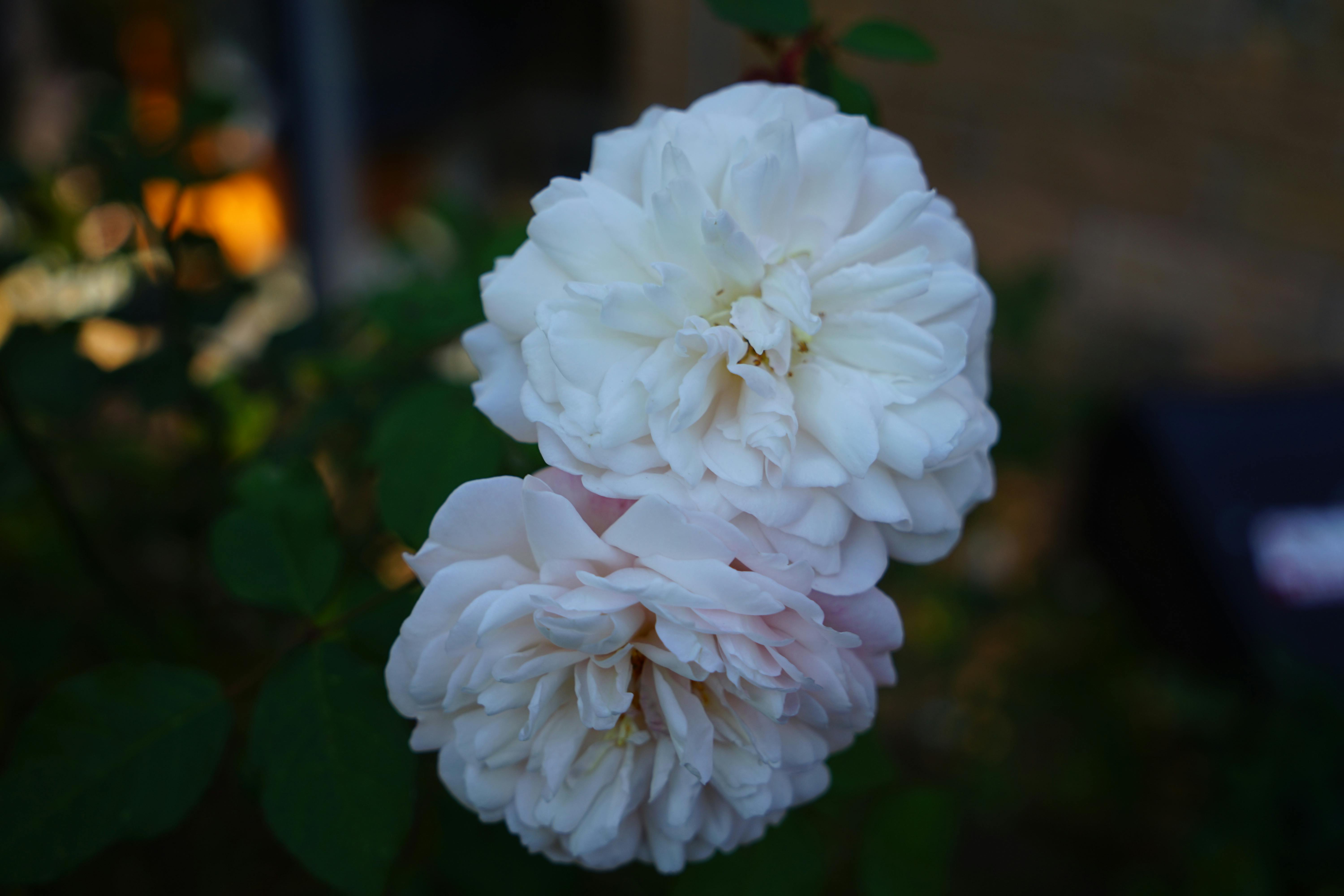 Hamish Baker – Fotografia