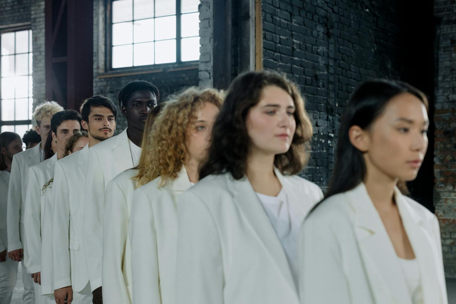 Conformation Show Guide for Dog Owners: Tips and Tricks