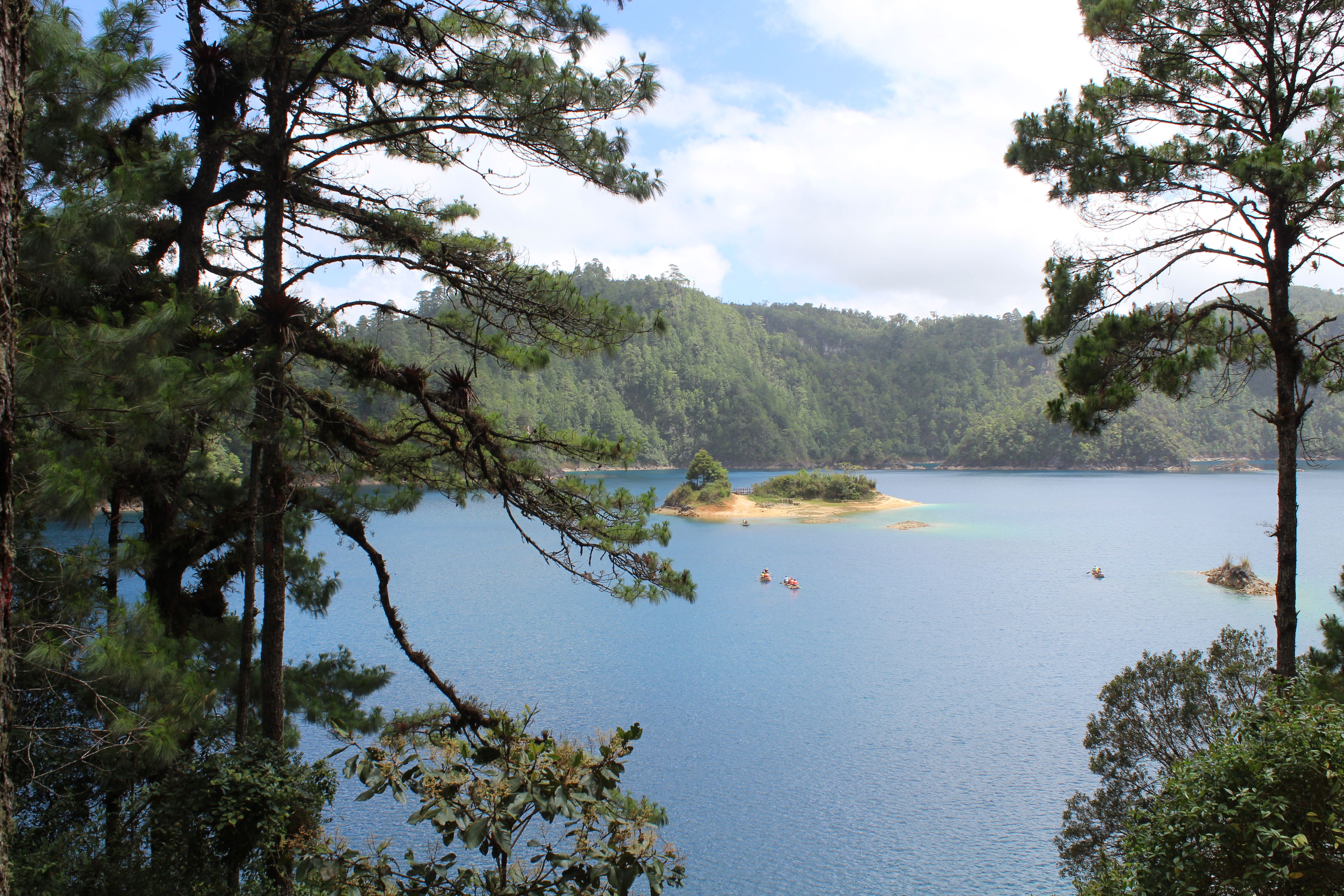 Forest around Lake · Free Stock Photo