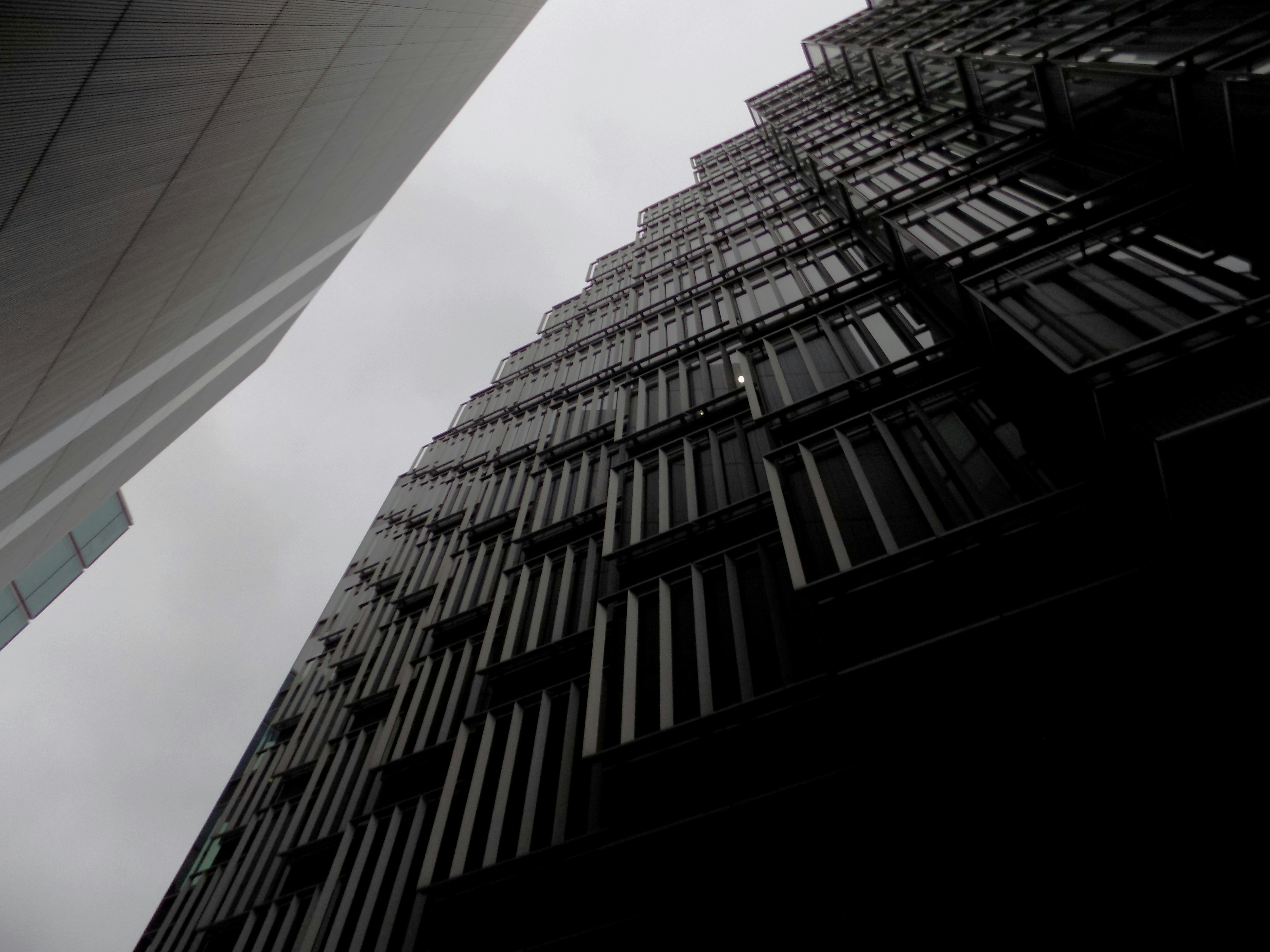 Greyscale Photo Of Glass Window Buildings · Free Stock Photo