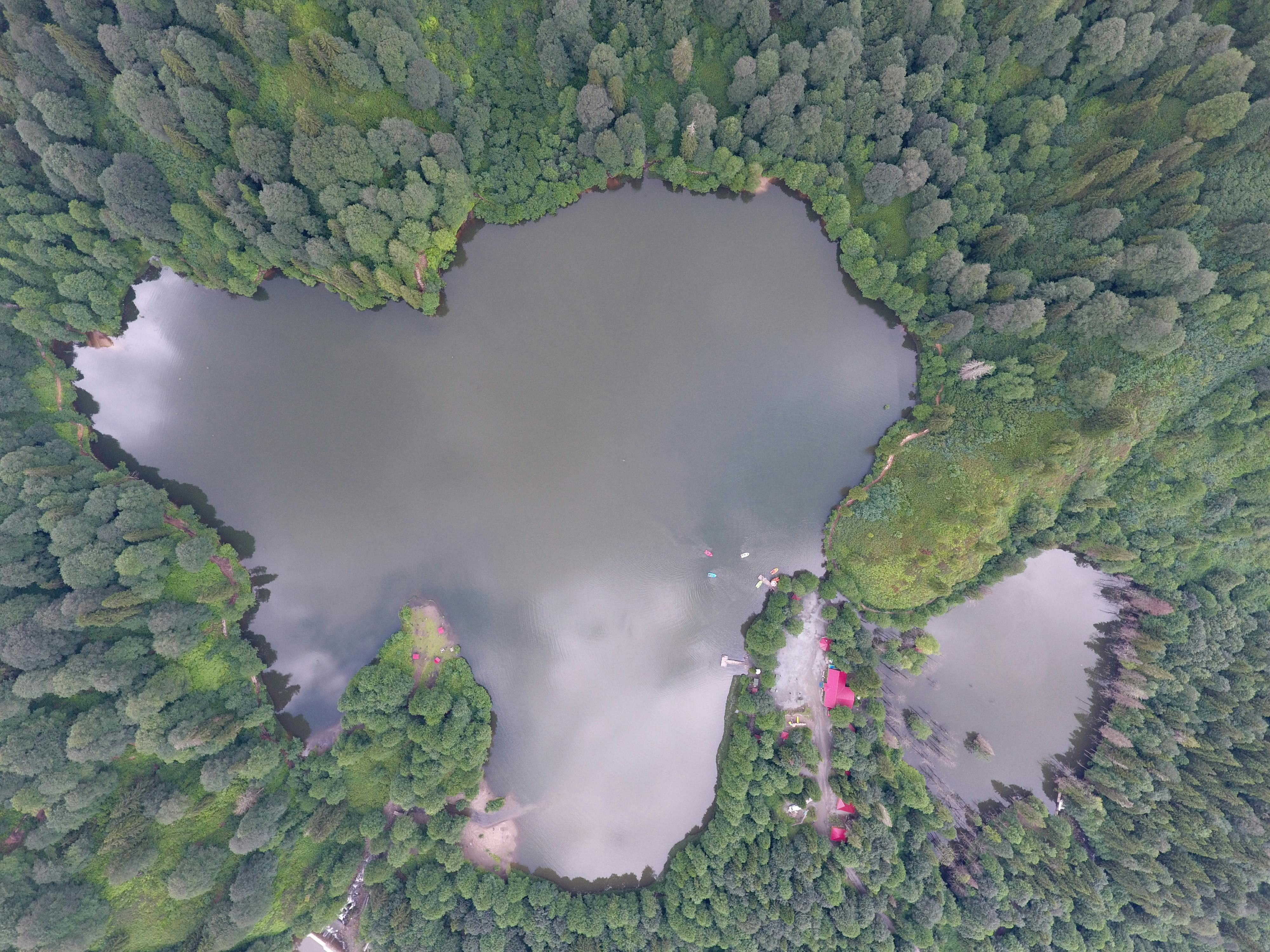 Aerial Photography of a Lake · Free Stock Photo