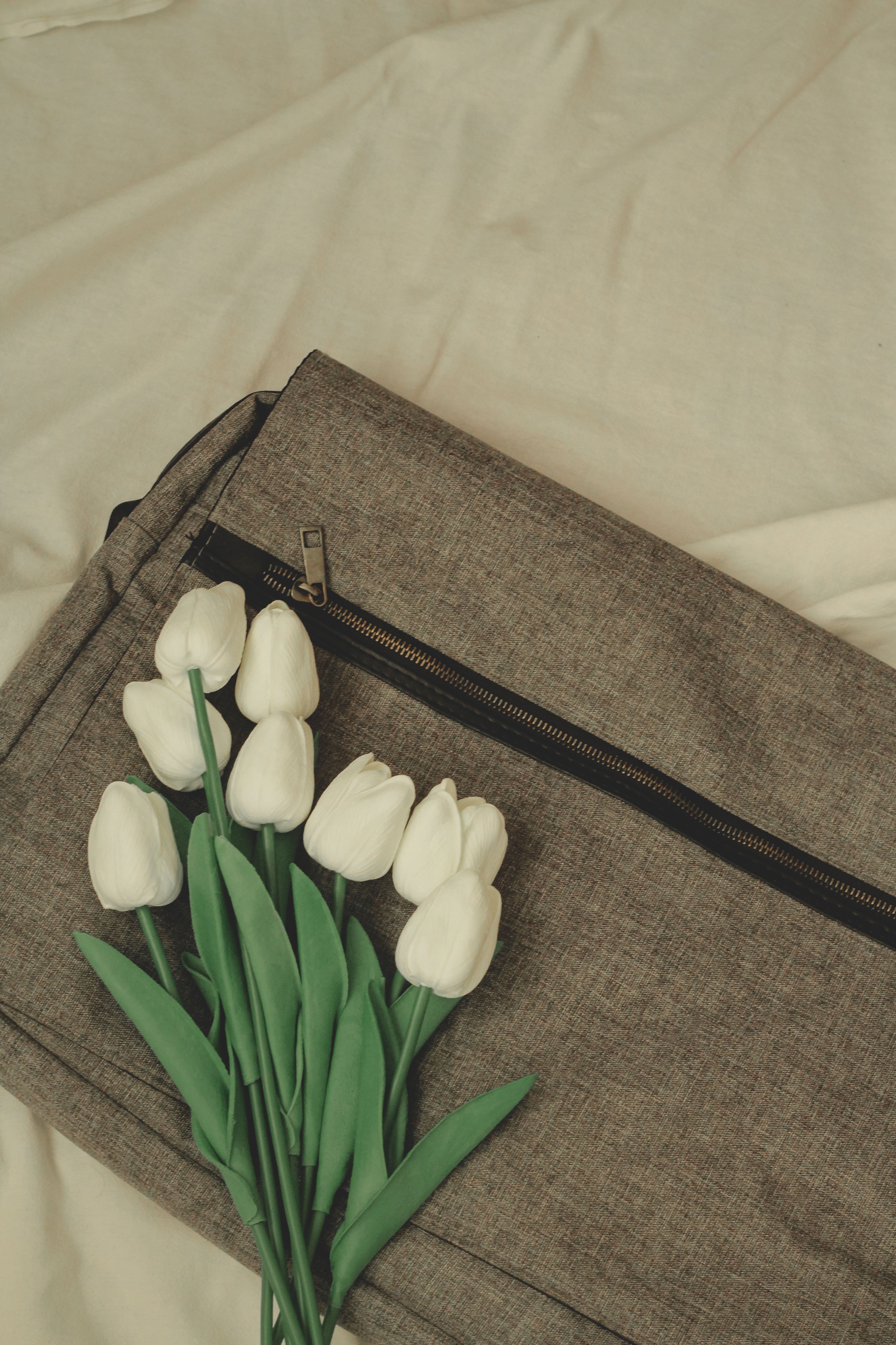 Bag Tulip Photos, Download The BEST Free Bag Tulip Stock Photos & HD Images