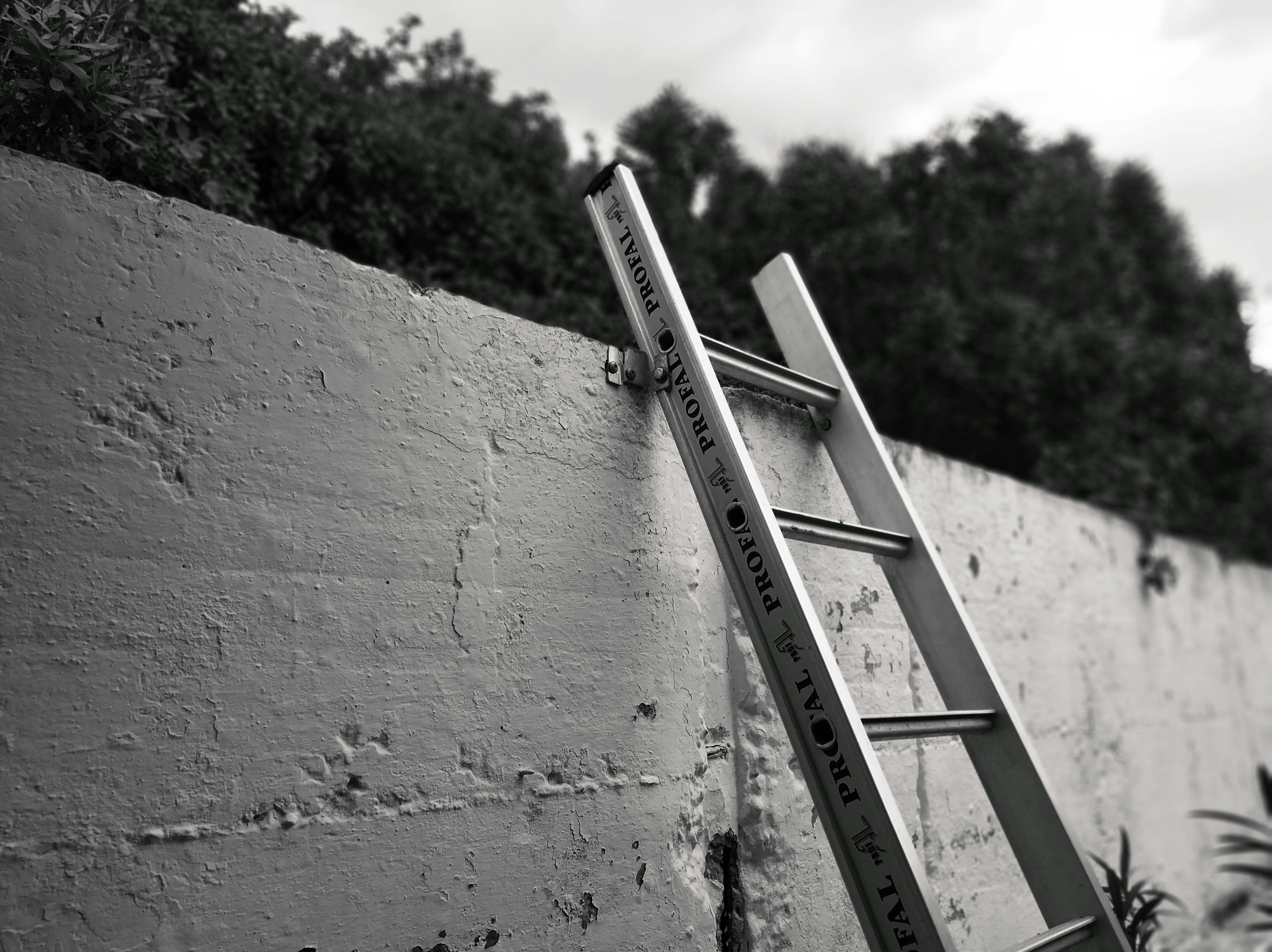 Brown Wooden Ladder · Free Stock Photo