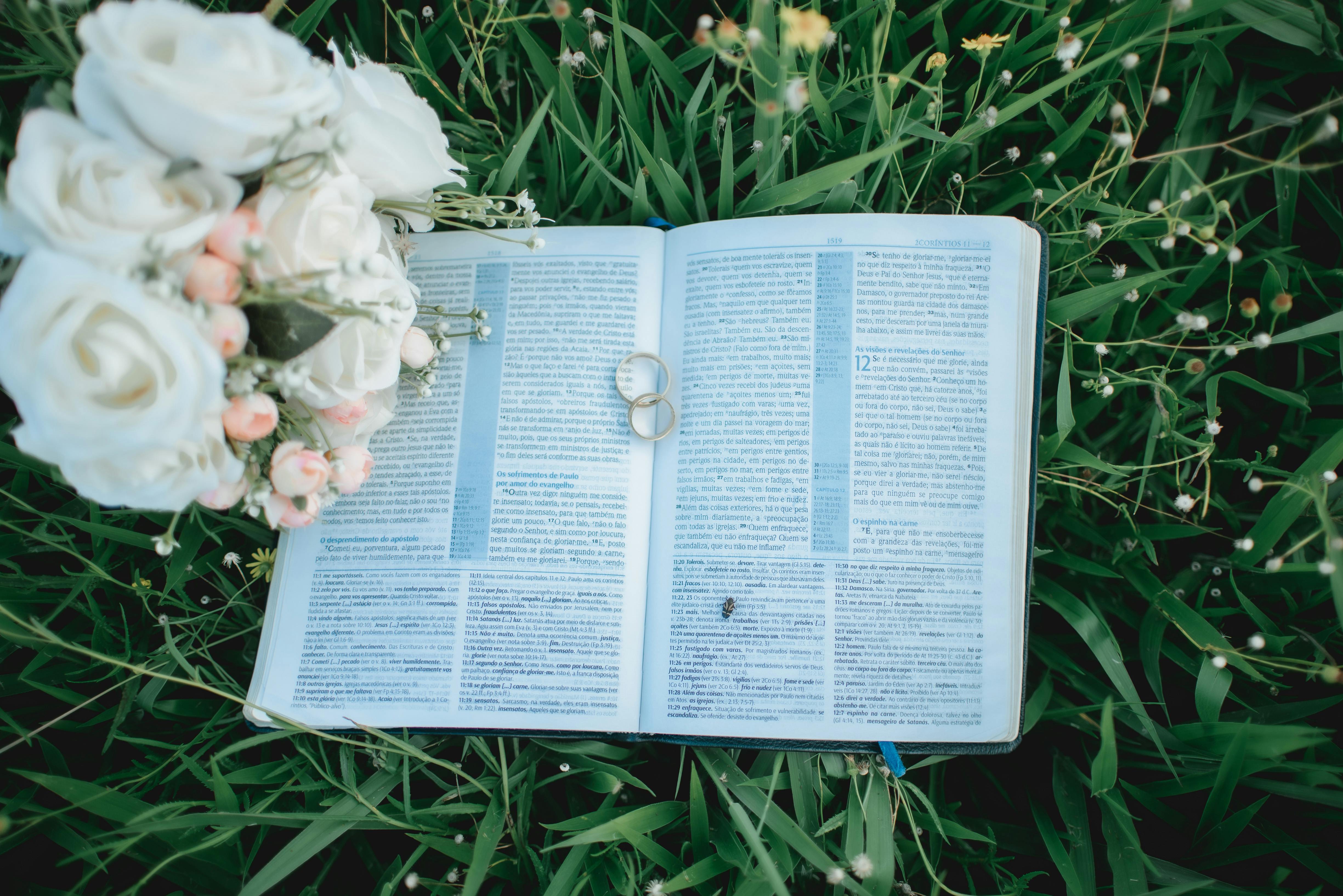 An Open Book with Wedding Rings on Green Grass · Free Stock Photo