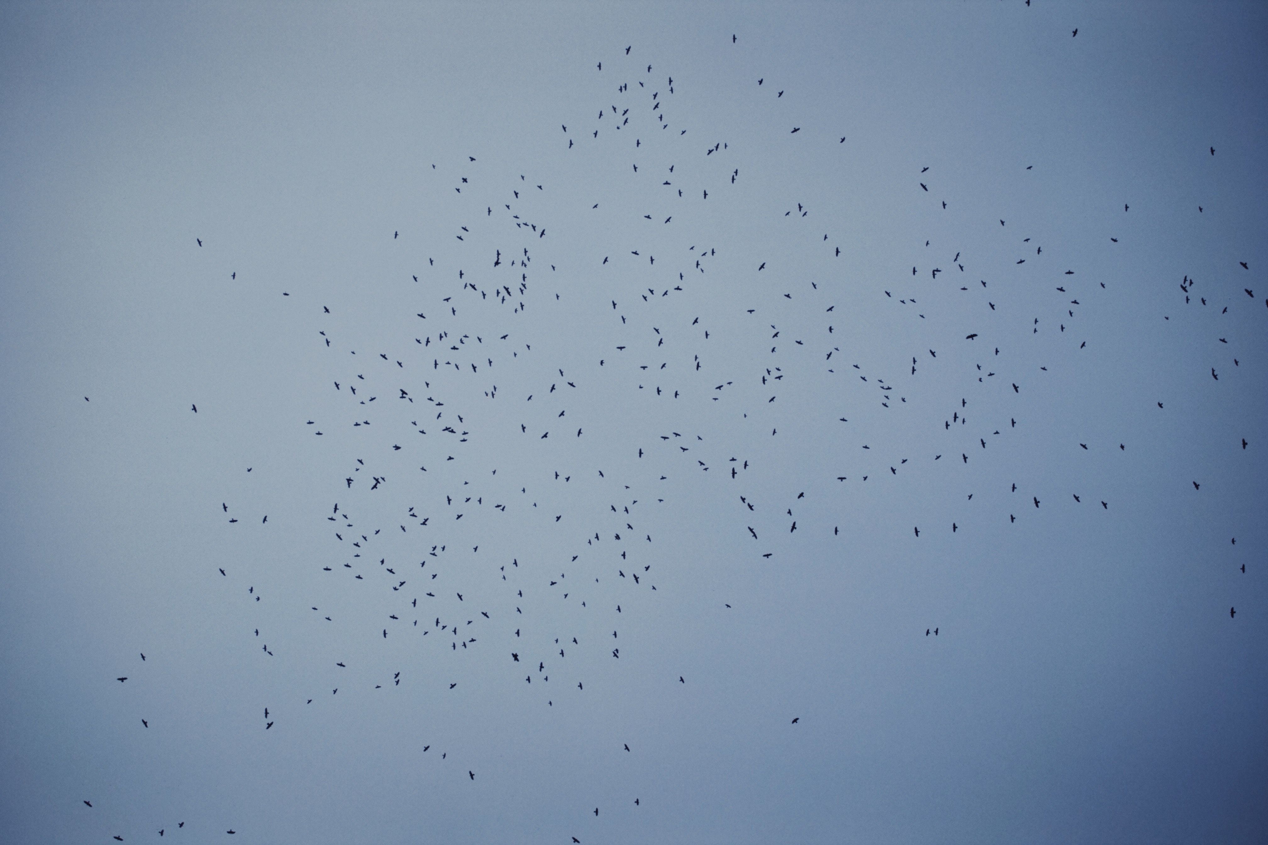 Chaos Sky Photos, Download The BEST Free Chaos Sky Stock Photos & HD Images