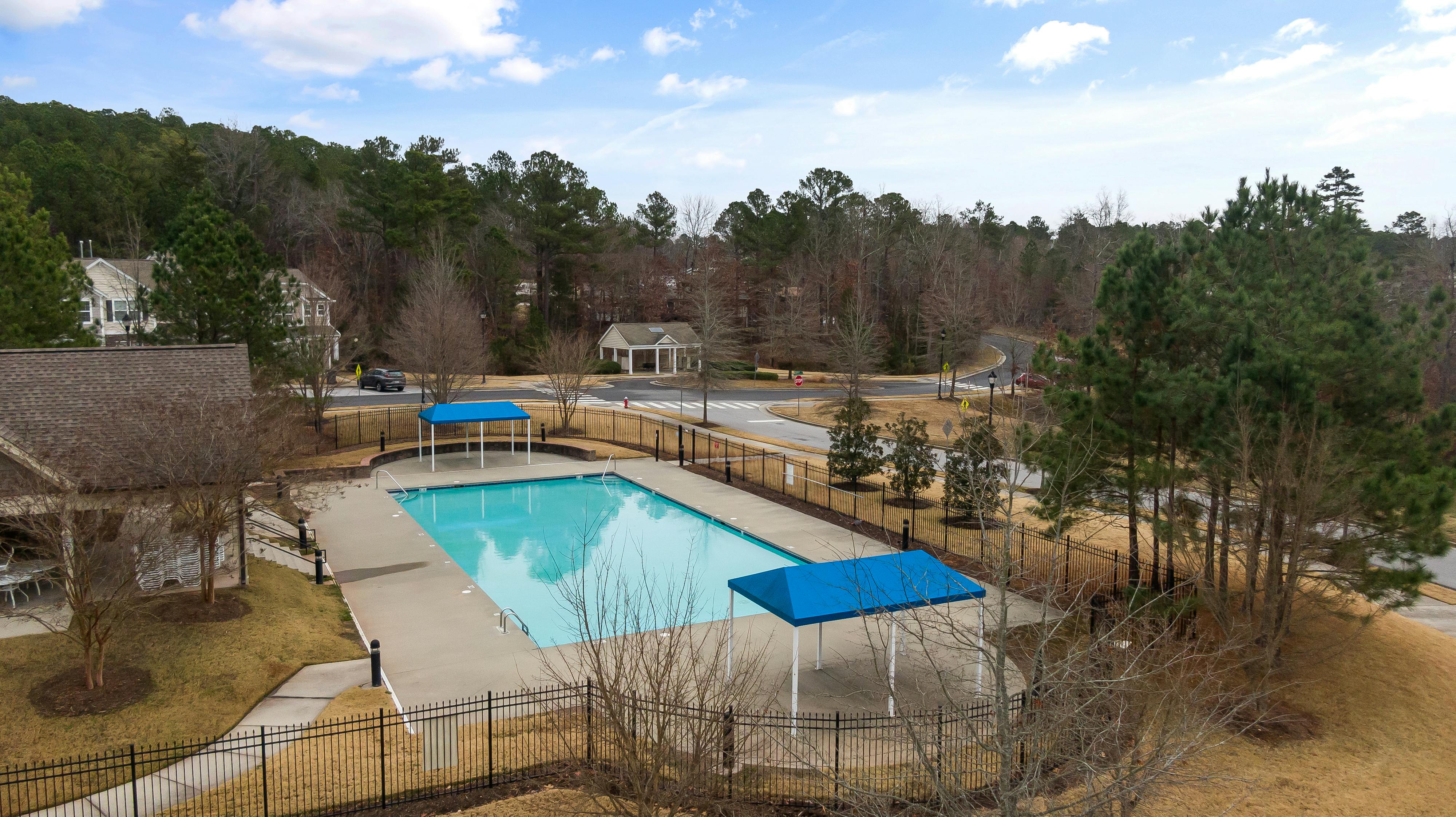 Swimming Pool Surrounded by Trees · Free Stock Photo