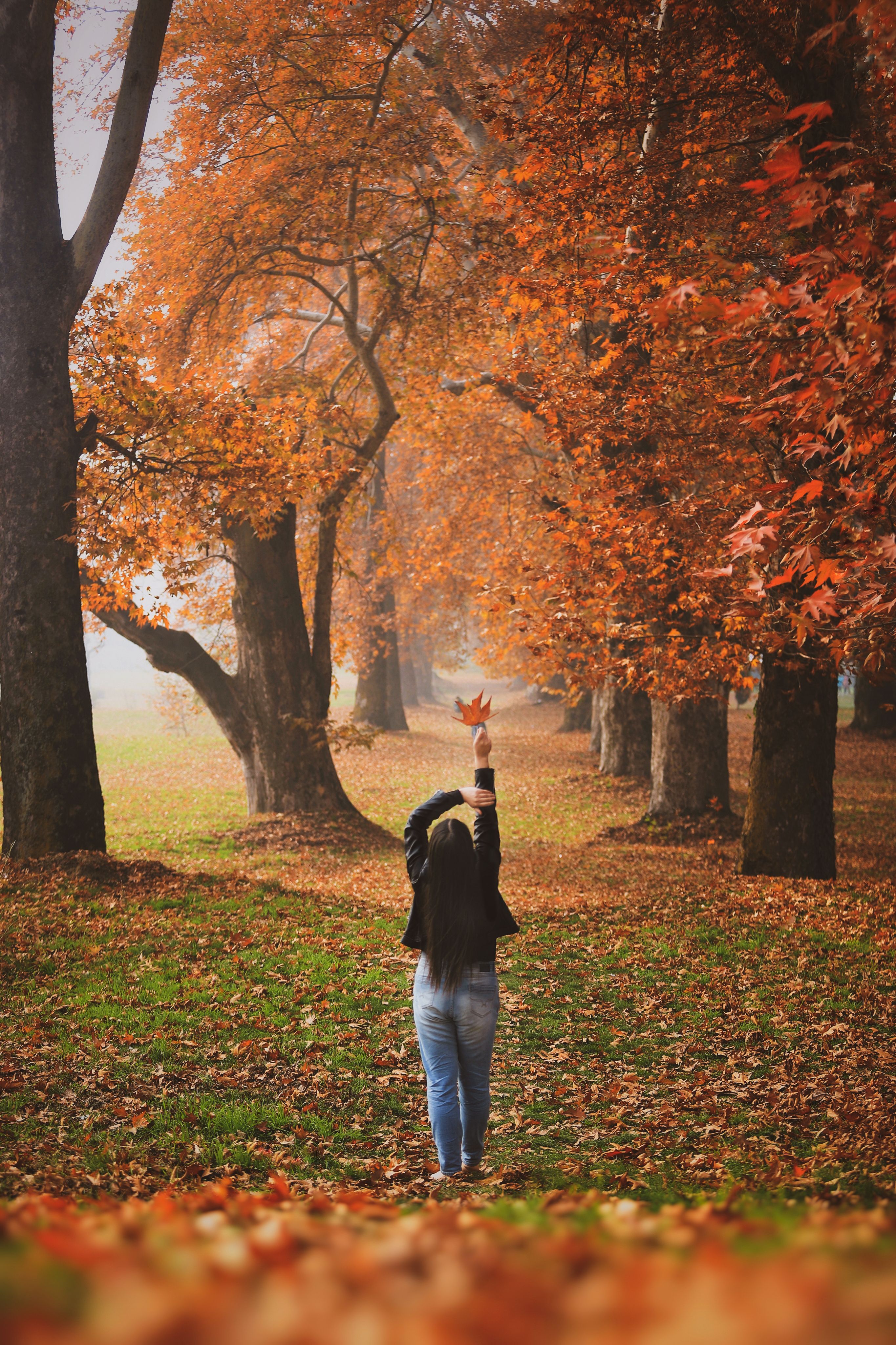 Hand Touching Leaves in Forest · Free Stock Photo