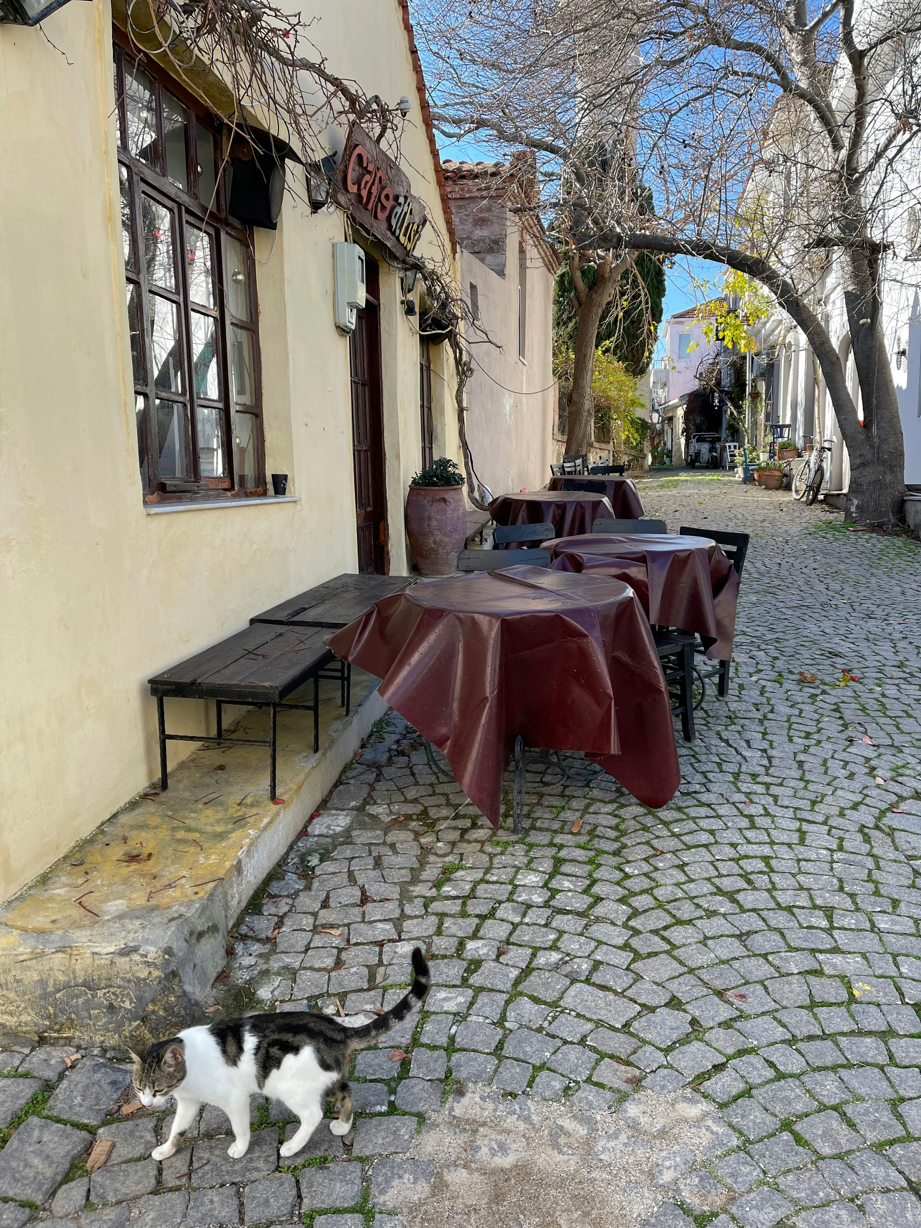 How To Enjoy Turkey Like A Local: Secrets For An Authentic Adventure