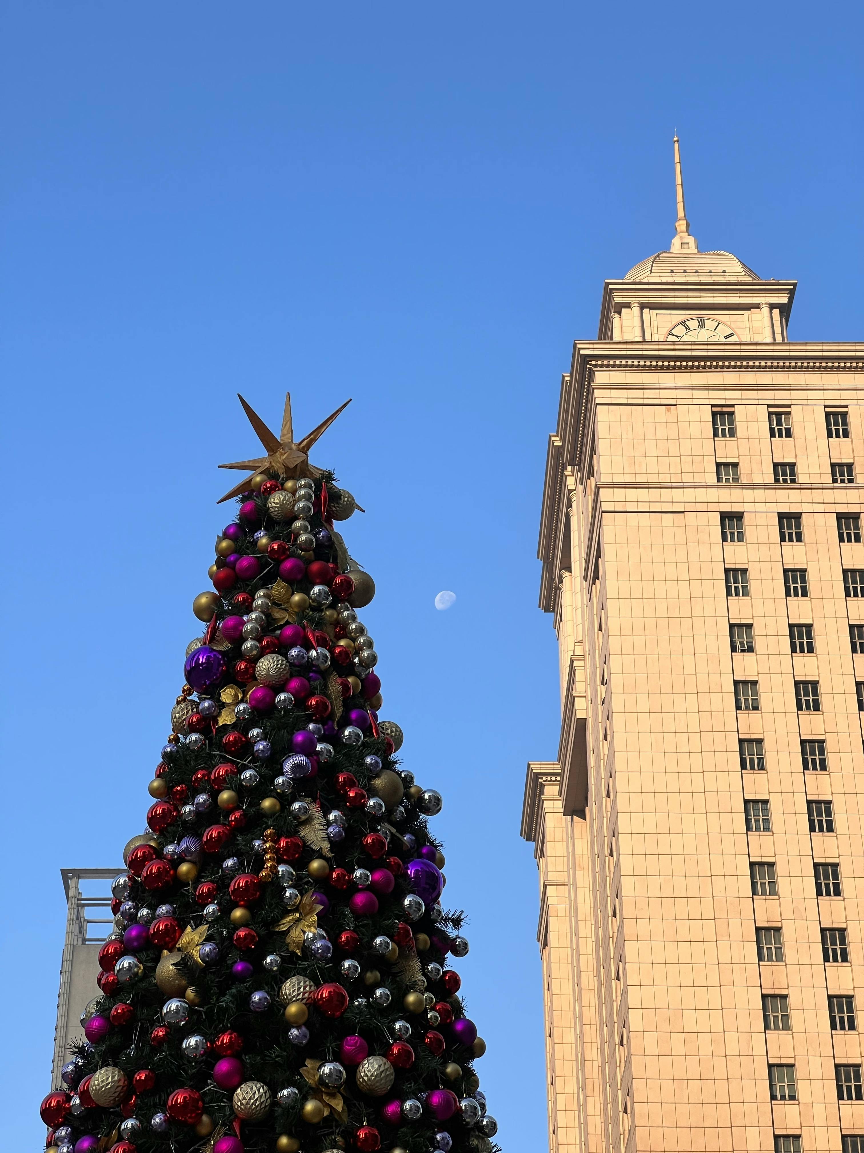 Christmas Moon Photos, Download The BEST Free Christmas Moon Stock ...